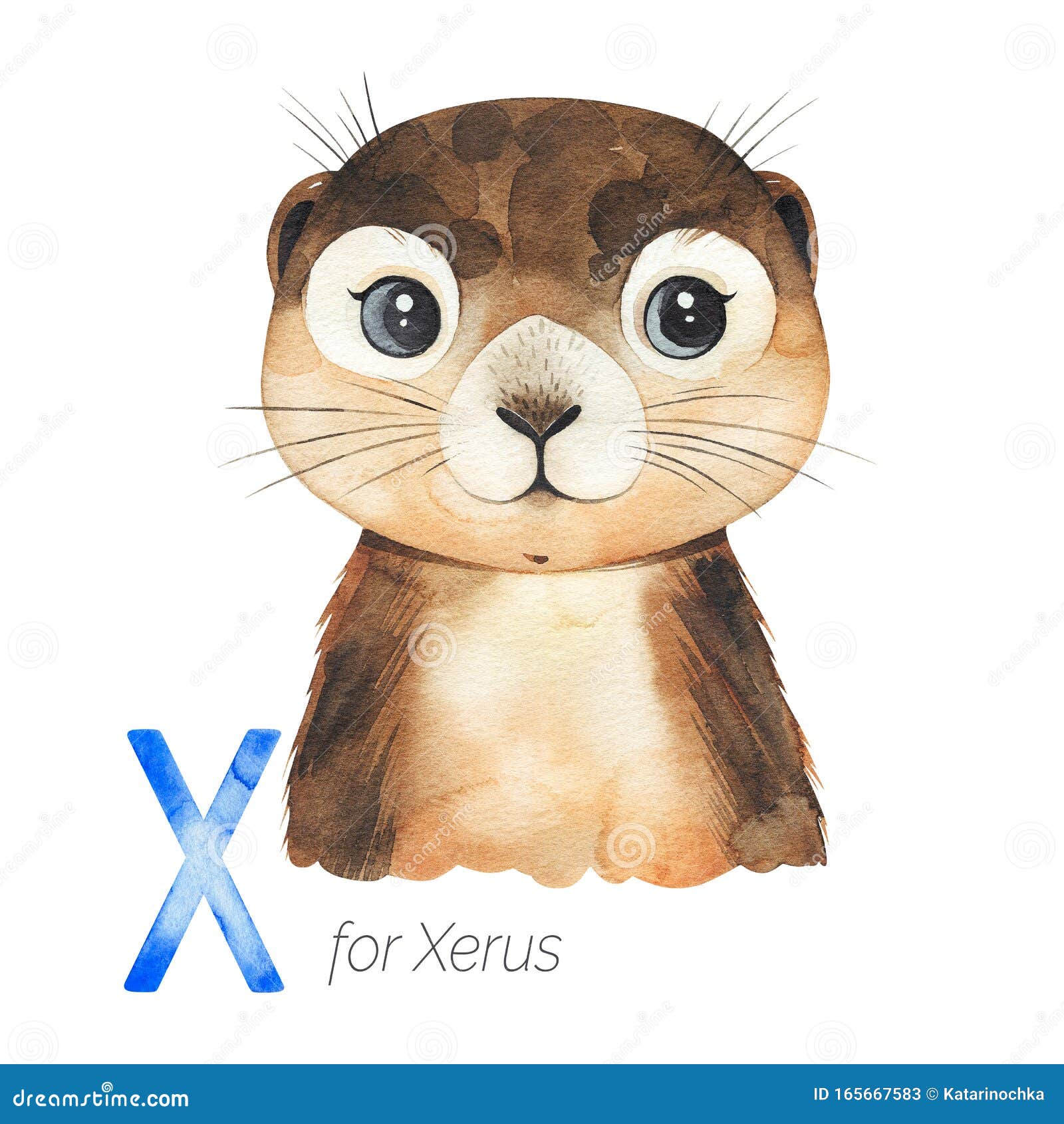 Xerus Cartoons, Illustrations & Vector Stock Images - 222 Pictures to ...