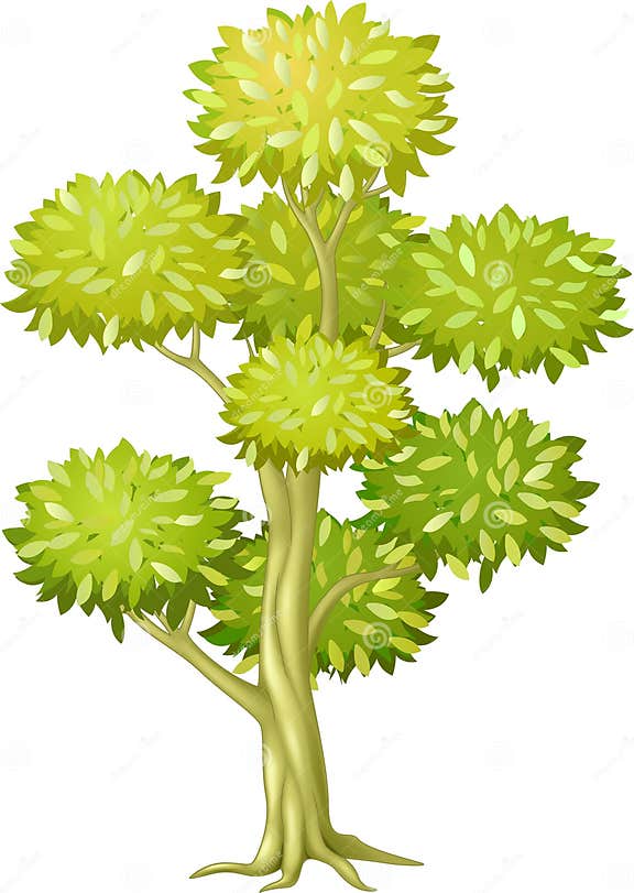 Green Leaves Tree Cartoon stock illustration. Illustration of flora ...