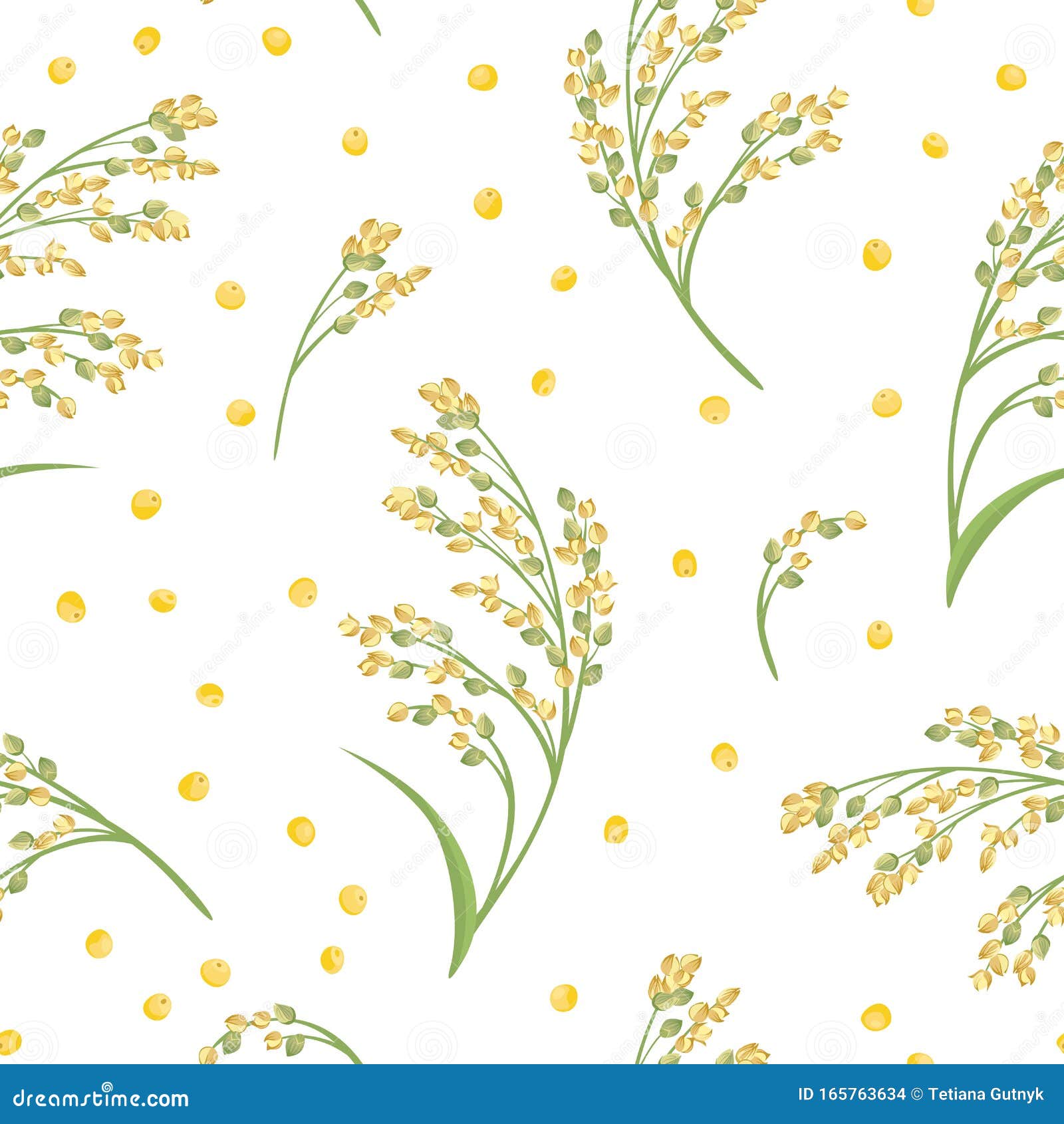 Seamless Pattern With Cereal Plant Proso Millet. Vector Illustration Of ...