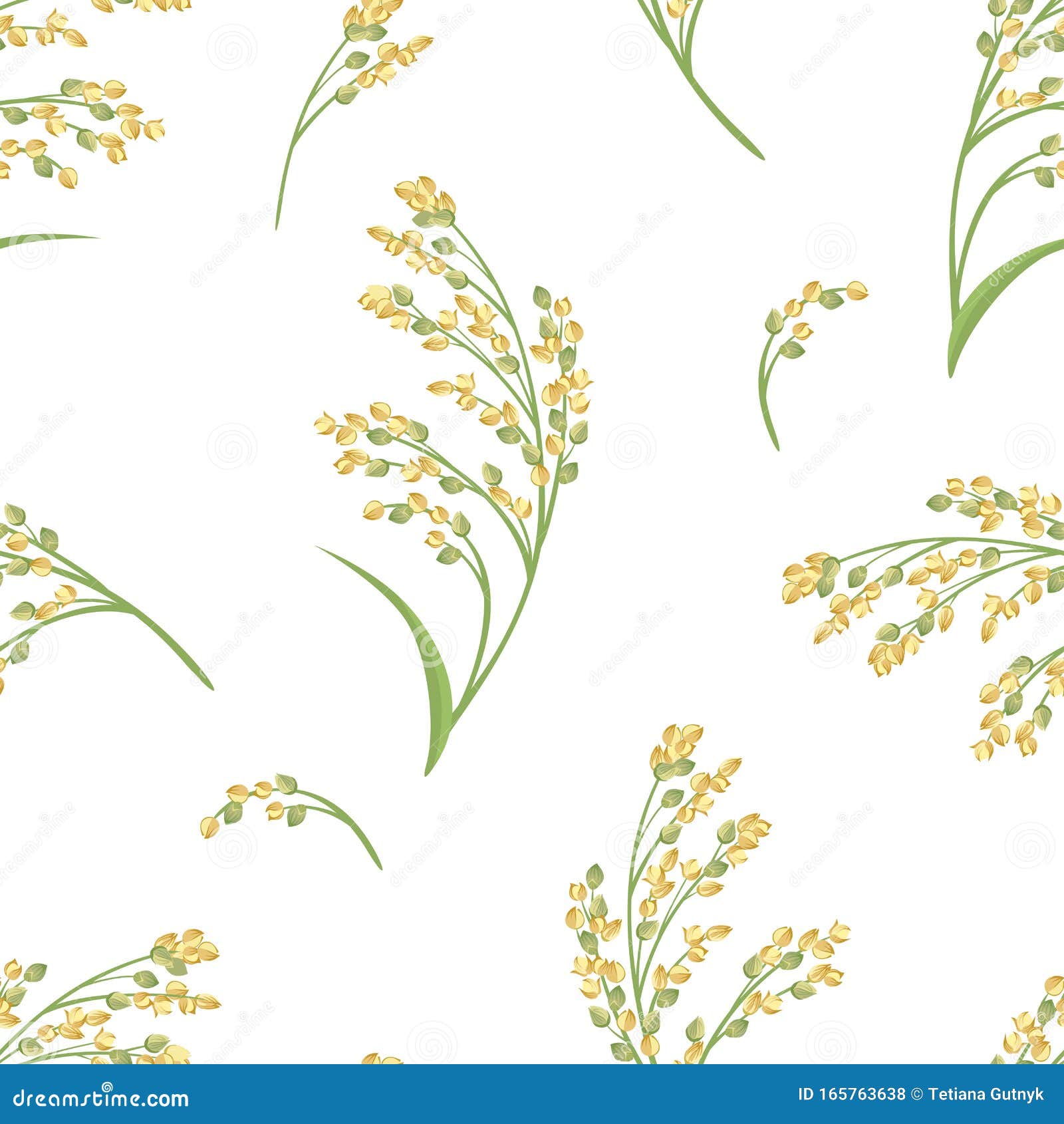 Ears of Proso Millet on White Background Seamless Pattern. Vector ...