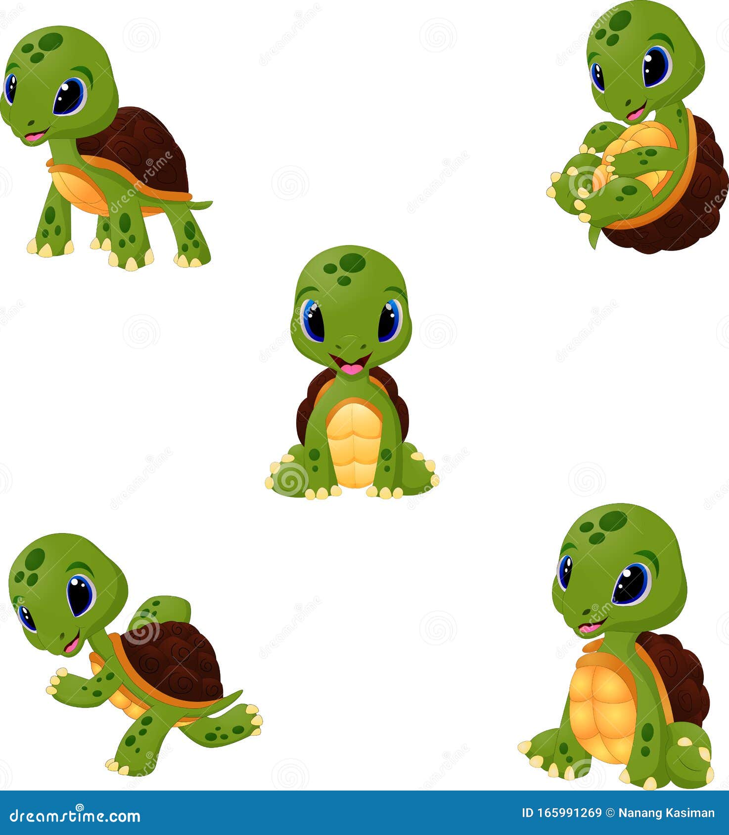 Turtles Collection, Chinemys Reevesii, Emys Orbicularis, Chelonoidis ...