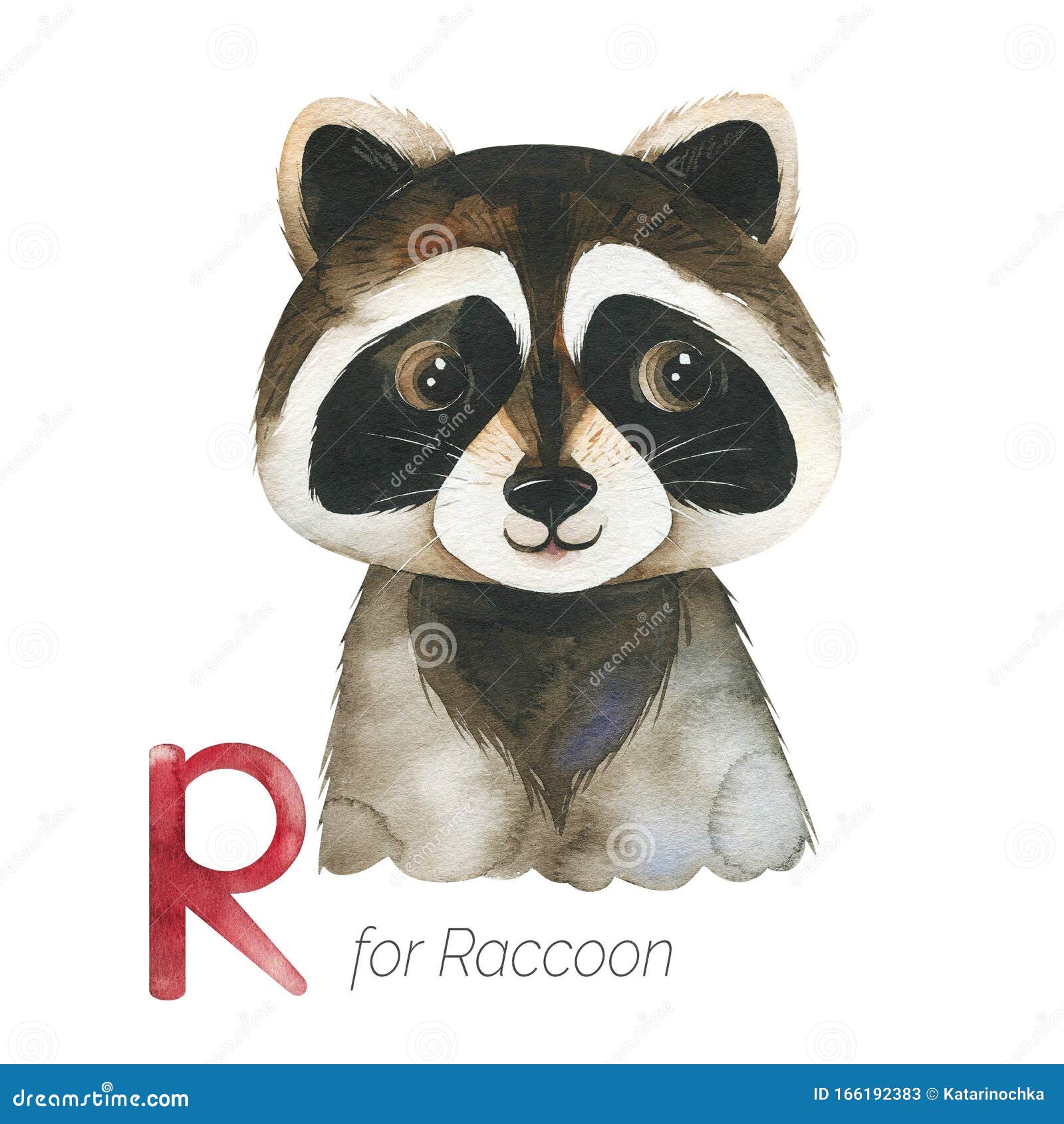 Cute Raccoon for R letter. stock illustration. Illustration of forest ...