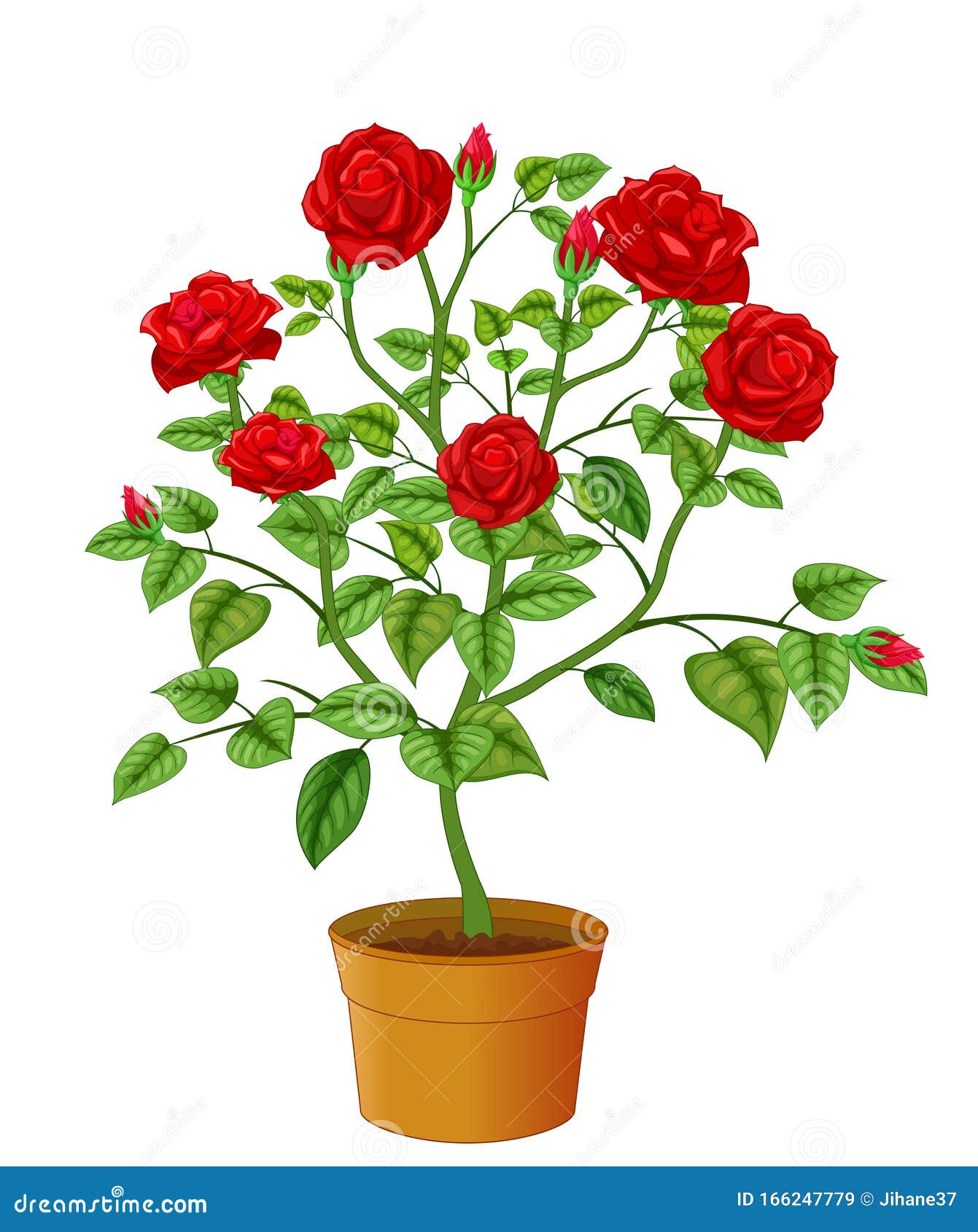 Beautiful Red Rose Flower Cartoon Stock Illustration - Illustration of ...