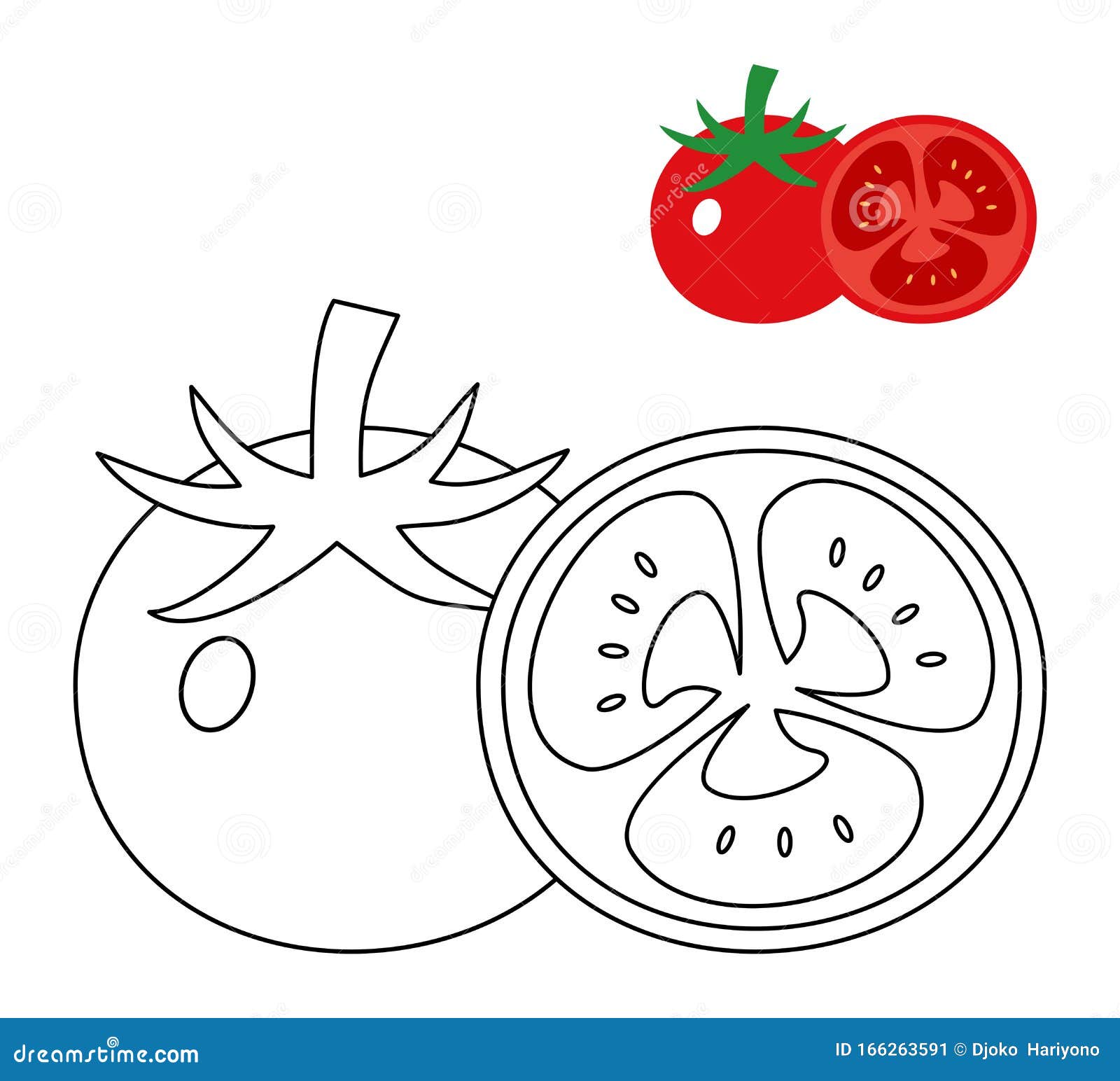 Tomatoes Coloring Food Fruits Vegetable Vector Design Cartoon for ...