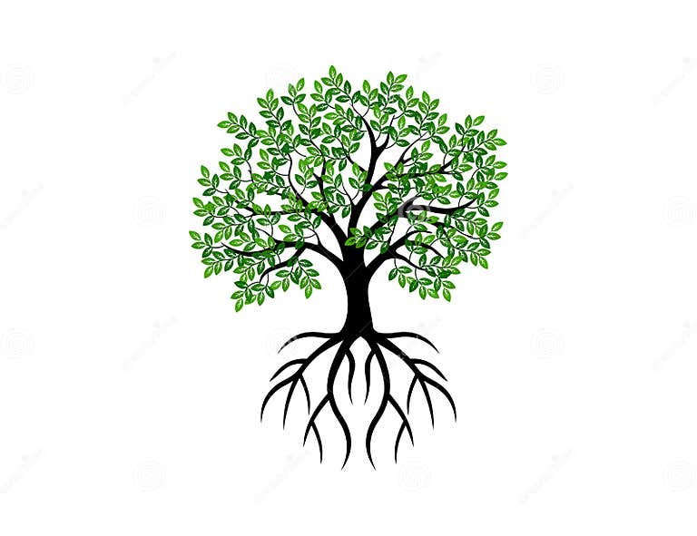 Vibrant Tree and Roots Logo Vector Illustration Isolated on White Stock ...