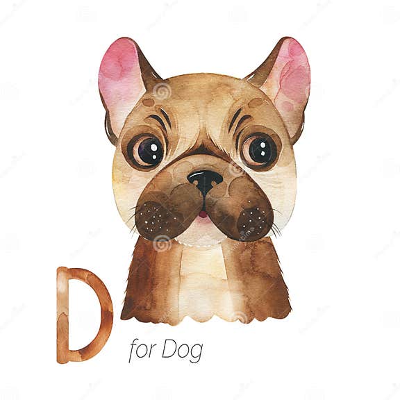 Cute Dog for D letter. stock illustration. Illustration of letter ...