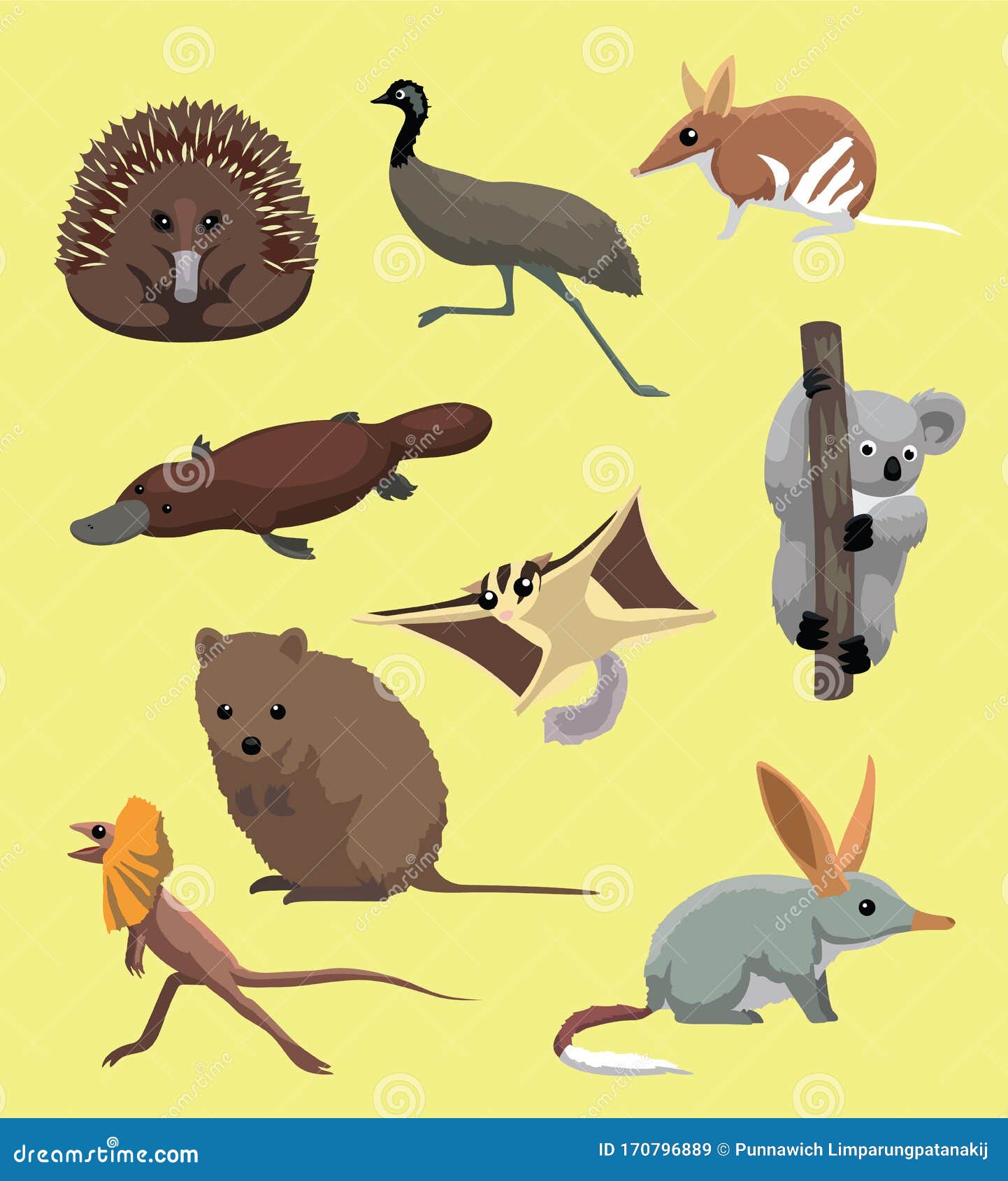 Australian Animal Quokka Sugar Glider Platypus Emu Cute Cartoon ...