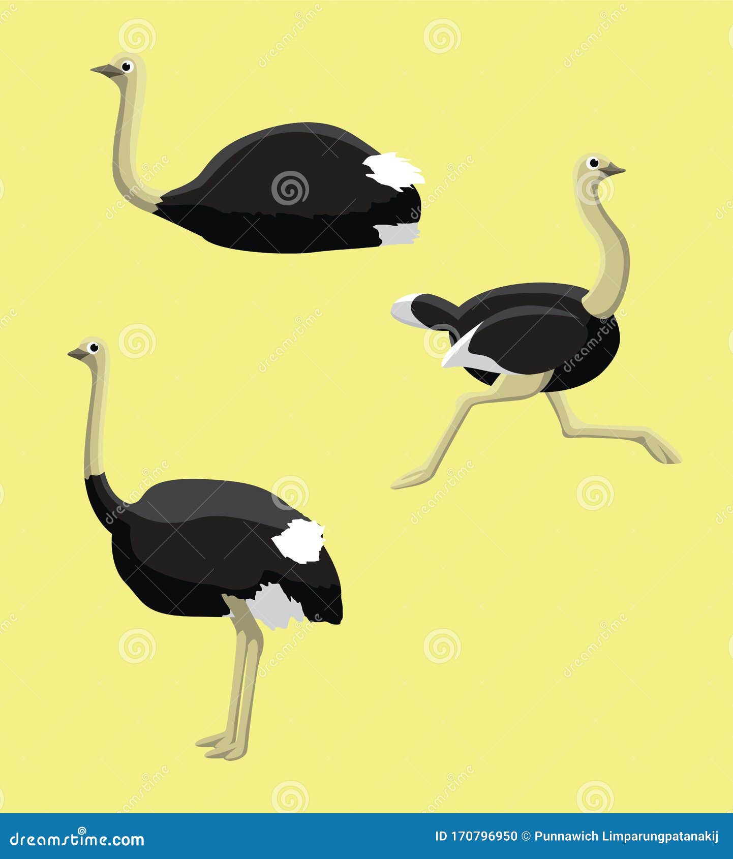 Ostrich Poses Cute Cartoon Illustration Stock Vector - Illustration of ...