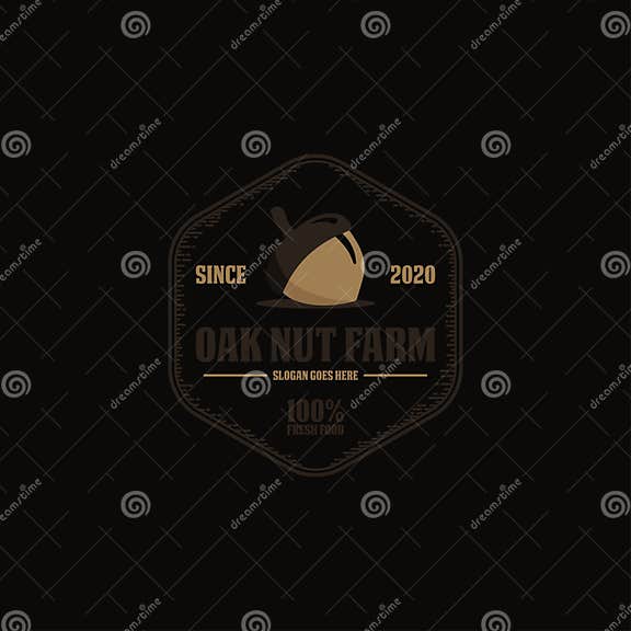 Hand Drawn Vintage Oak Nut Logo Vector Stock Vector - Illustration of ...