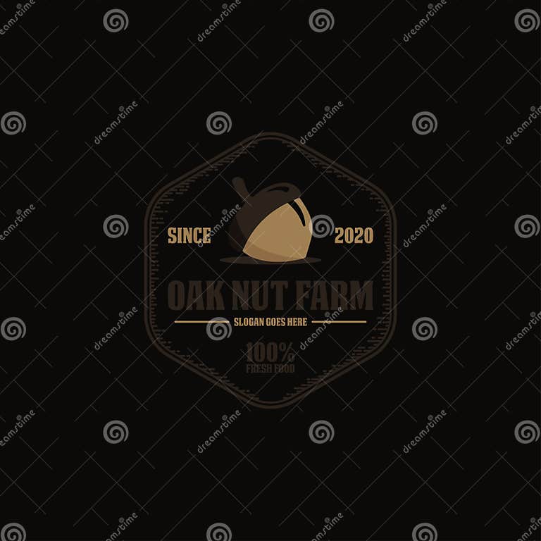 Hand Drawn Vintage Oak Nut Logo Vector Stock Vector - Illustration of ...