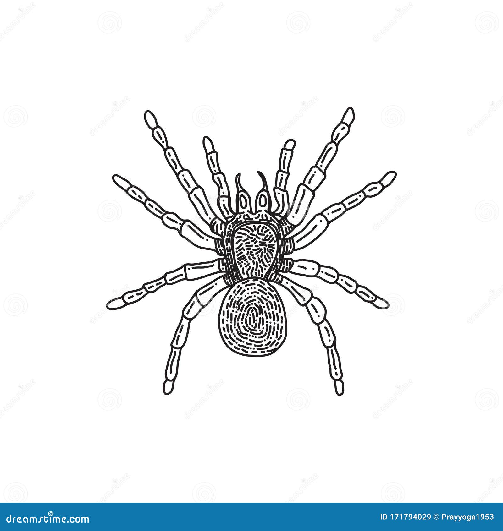 Spider Logo Vector Line Art Style Stock Illustration - Illustration of ...