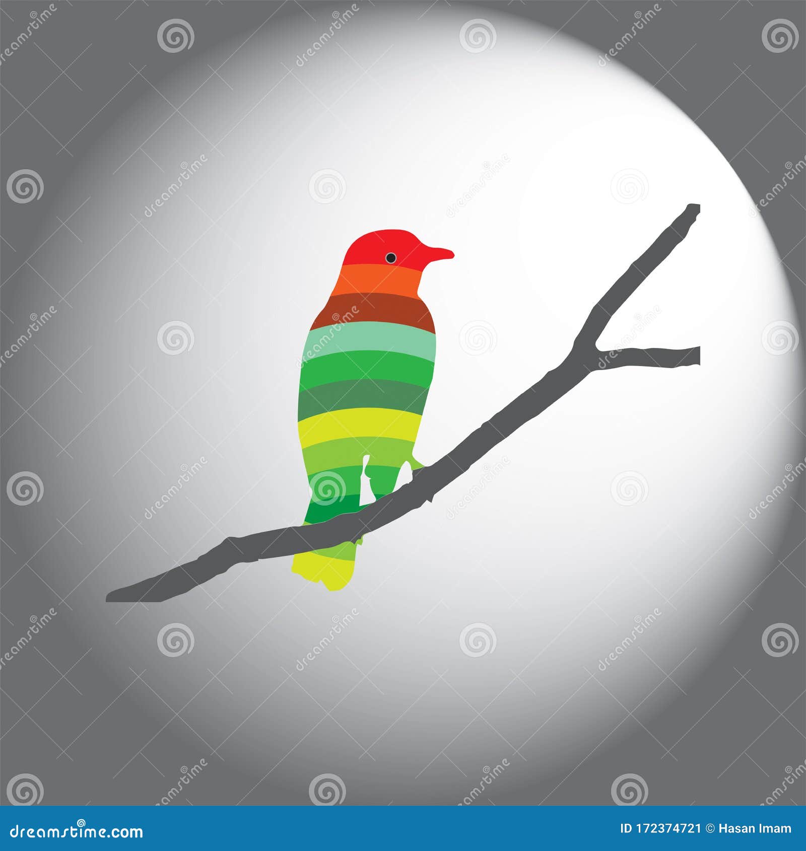 Magpie Design Isolated Elements, National Bird of Bangladesh Stock ...