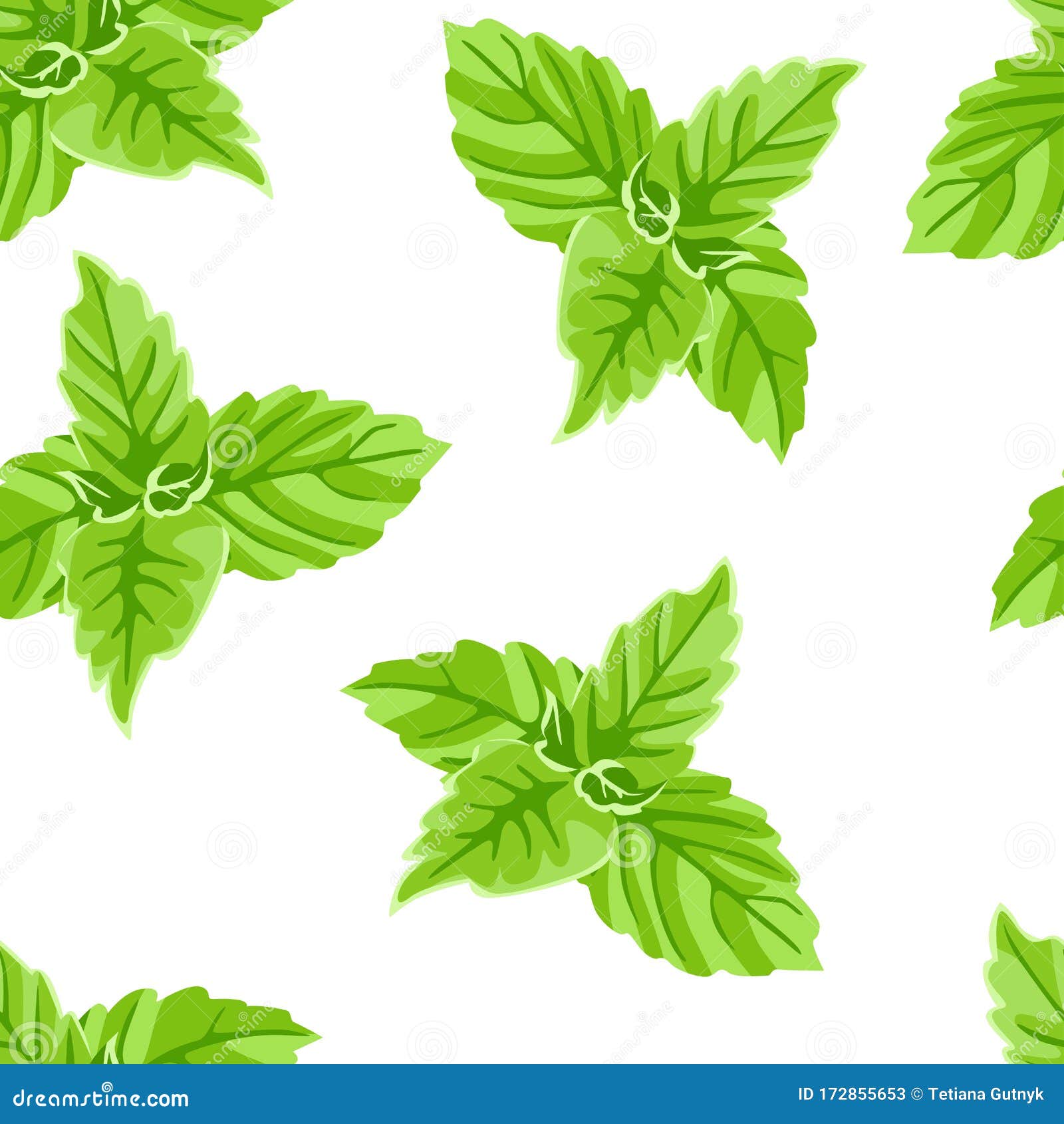 Green Basil Leaves Seamless Pattern. Vector Illustration of Aromatic ...