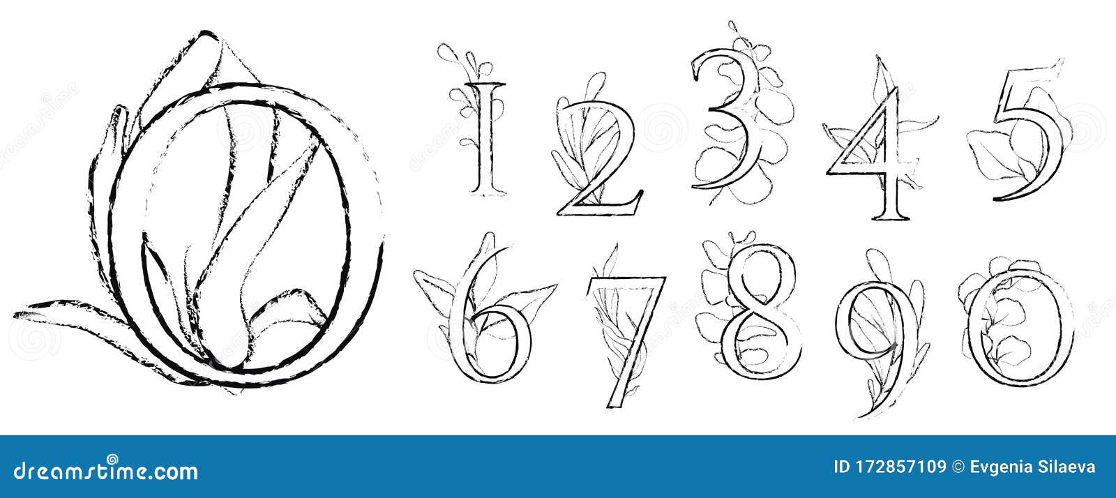 Line Art Numbers with Flowers and Leaves. Stock Vector - Illustration ...
