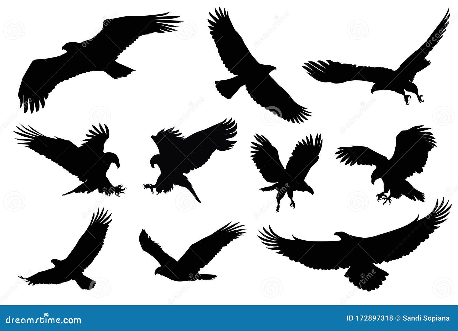 Silhouette Of A Flying Raven. Vector Illustration. Vector Outline Of ...