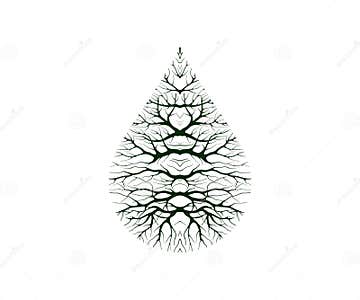 Abstract Vibrant Roots Logo Designs, Water Drop Shape Vector ...