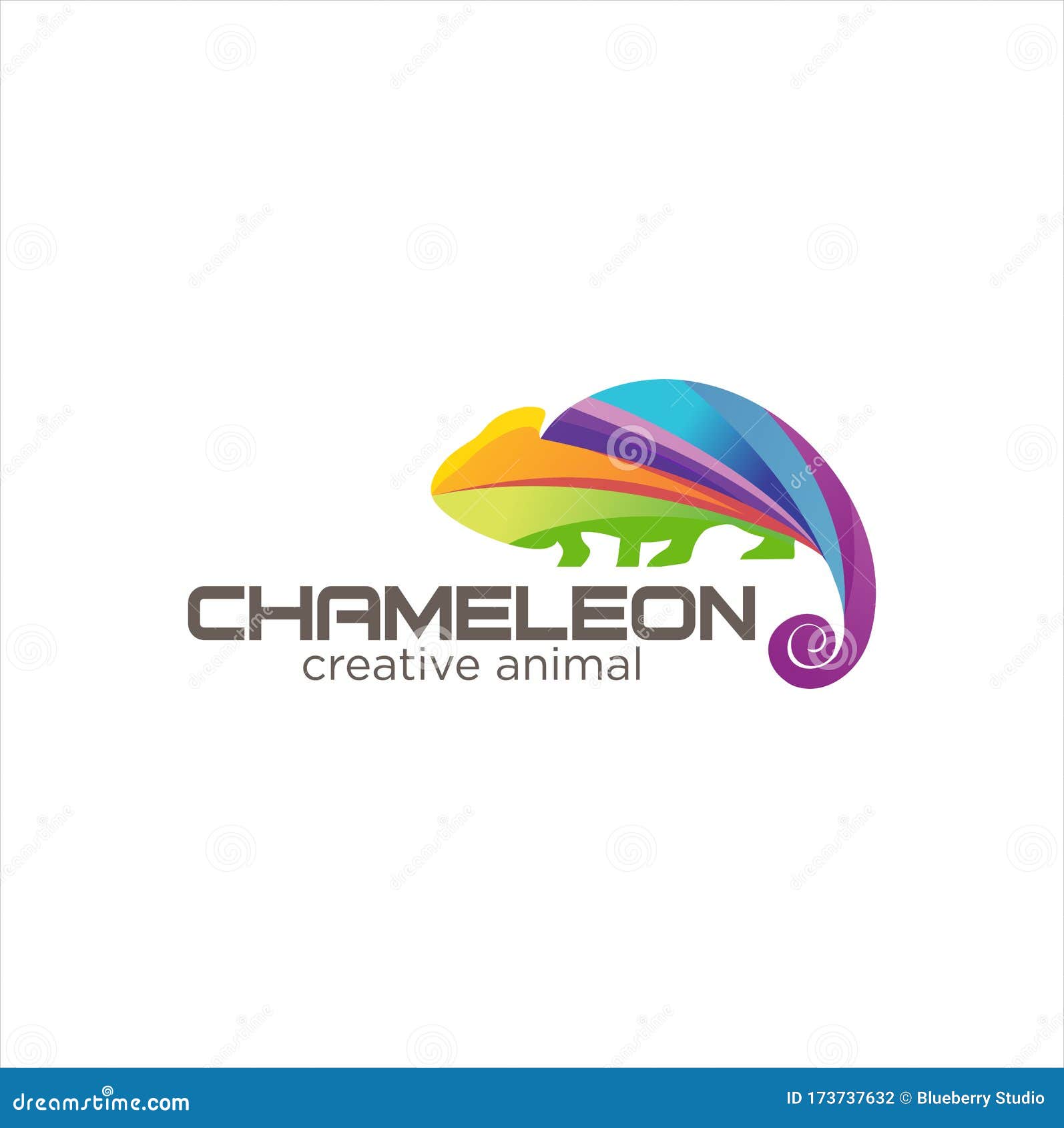 Colorful Chameleon Logo. Vector Logo For Children Club. | CartoonDealer ...