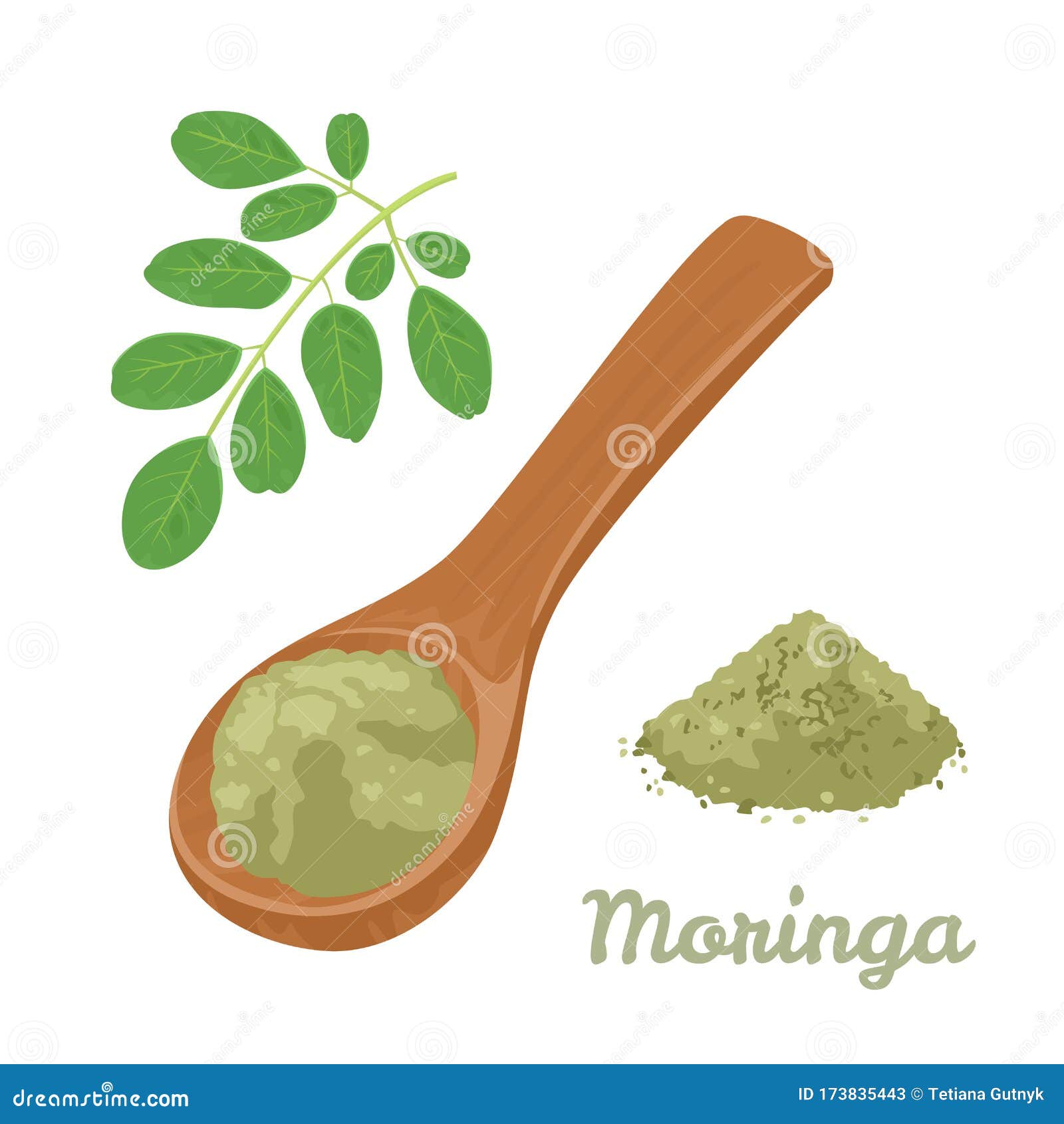 Moringa Powder in Wooden Spoon Isolated on White Background. Vector ...