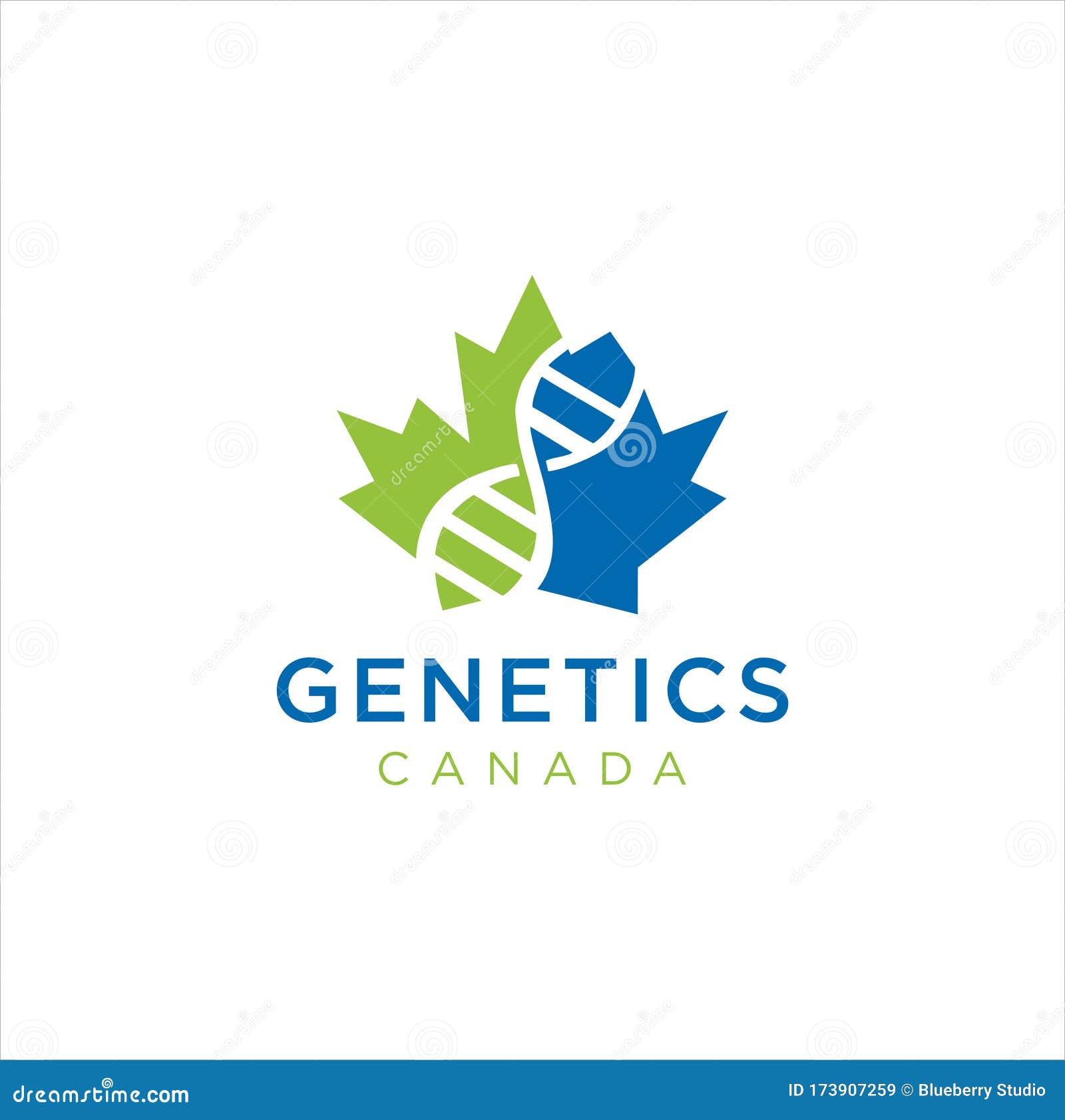 Maple Leaf Dna Logo Design Vector Illustration . Dna Logo . Canadian ...