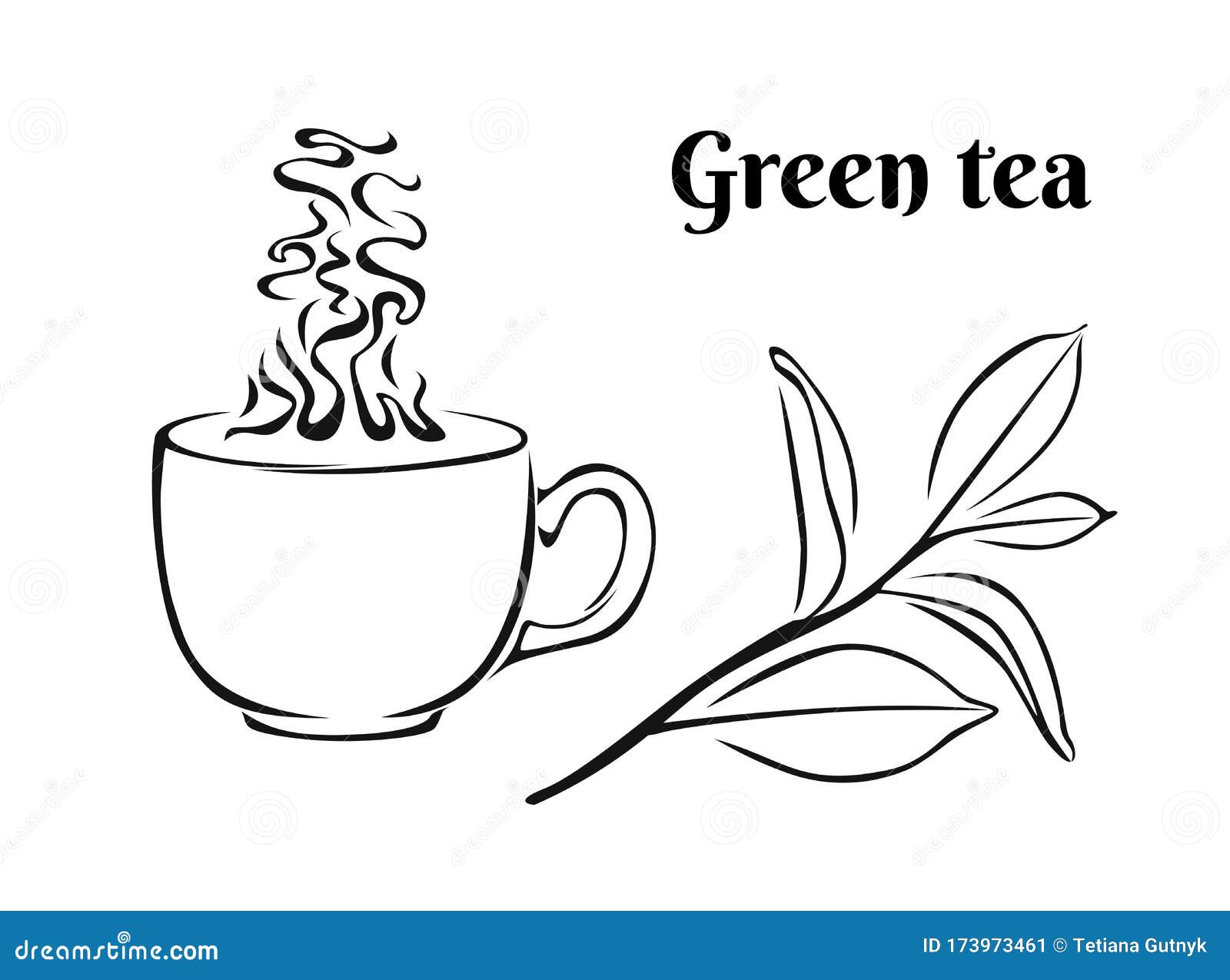 Cup with Steaming Tea and Branch with Tea Leaves Isolated on White ...