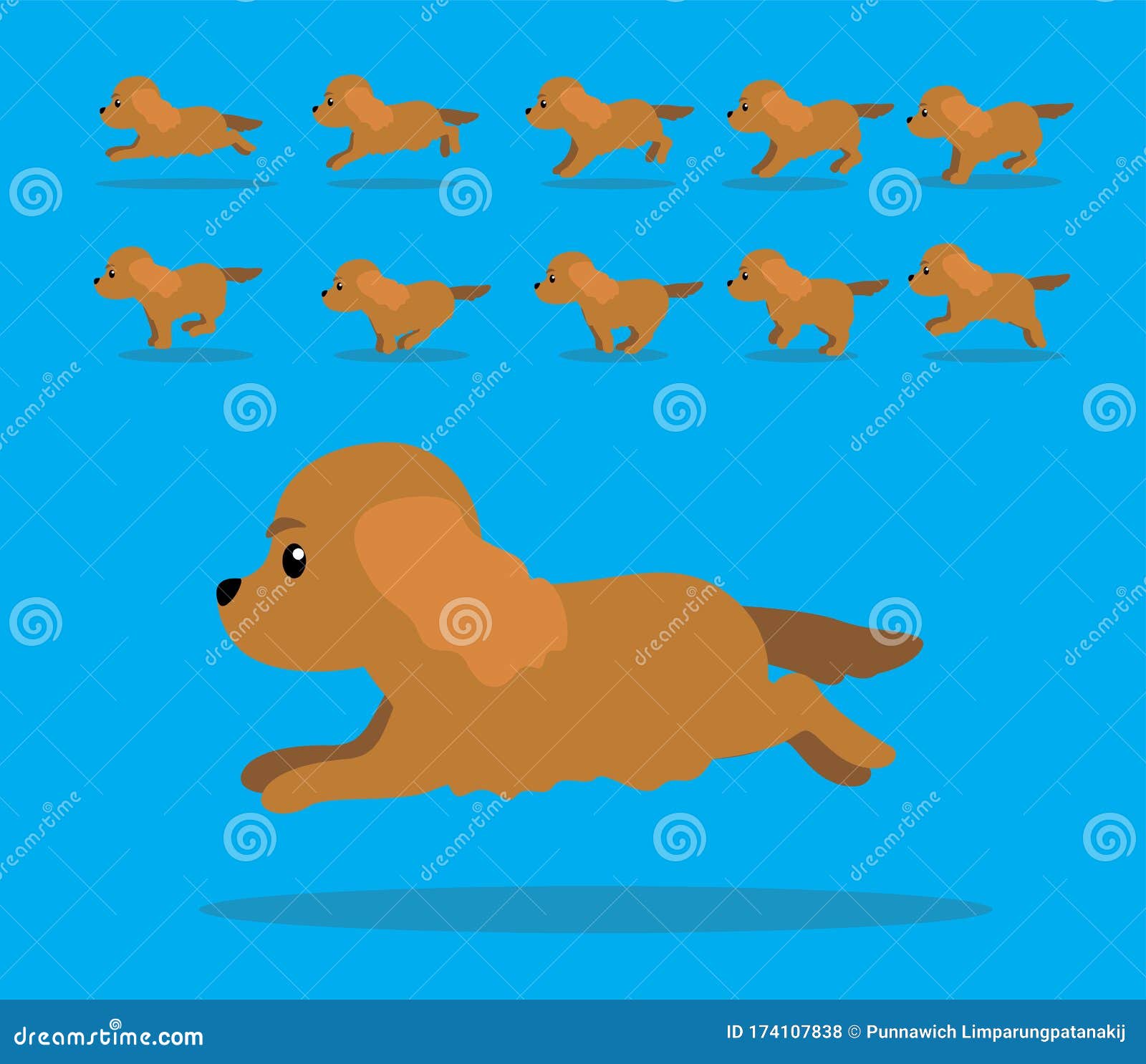 Animal Animation Sequence Dog Cocker Spaniel Cartoon Vector Stock ...