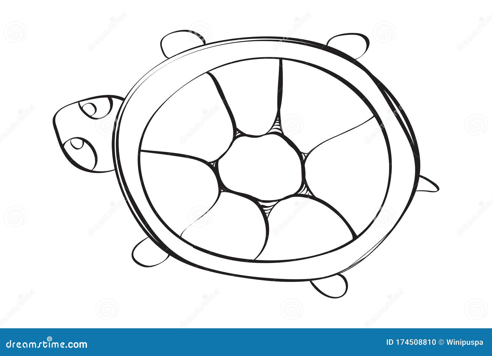 Coloring turtle stock vector. Illustration of basketball - 174508810