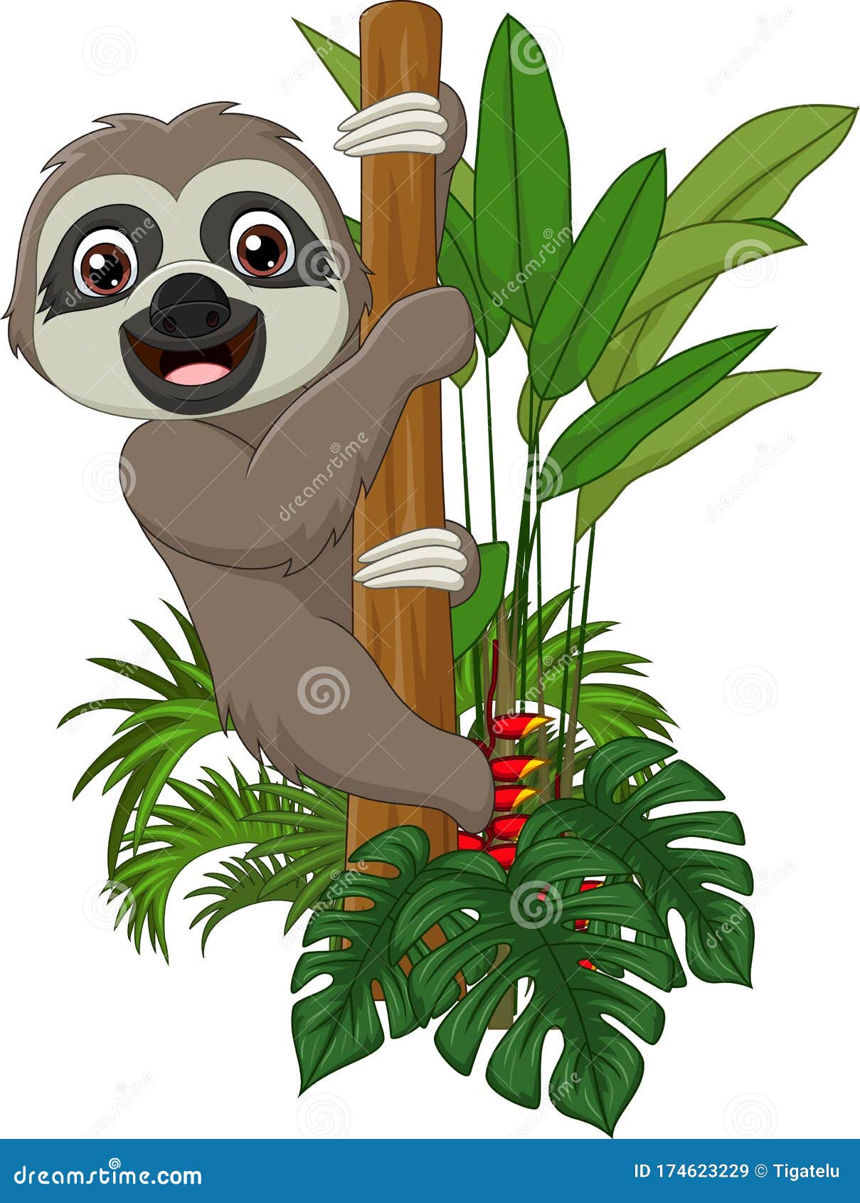Cute Baby Sloth Climbing on Tree Branch Stock Vector - Illustration of ...