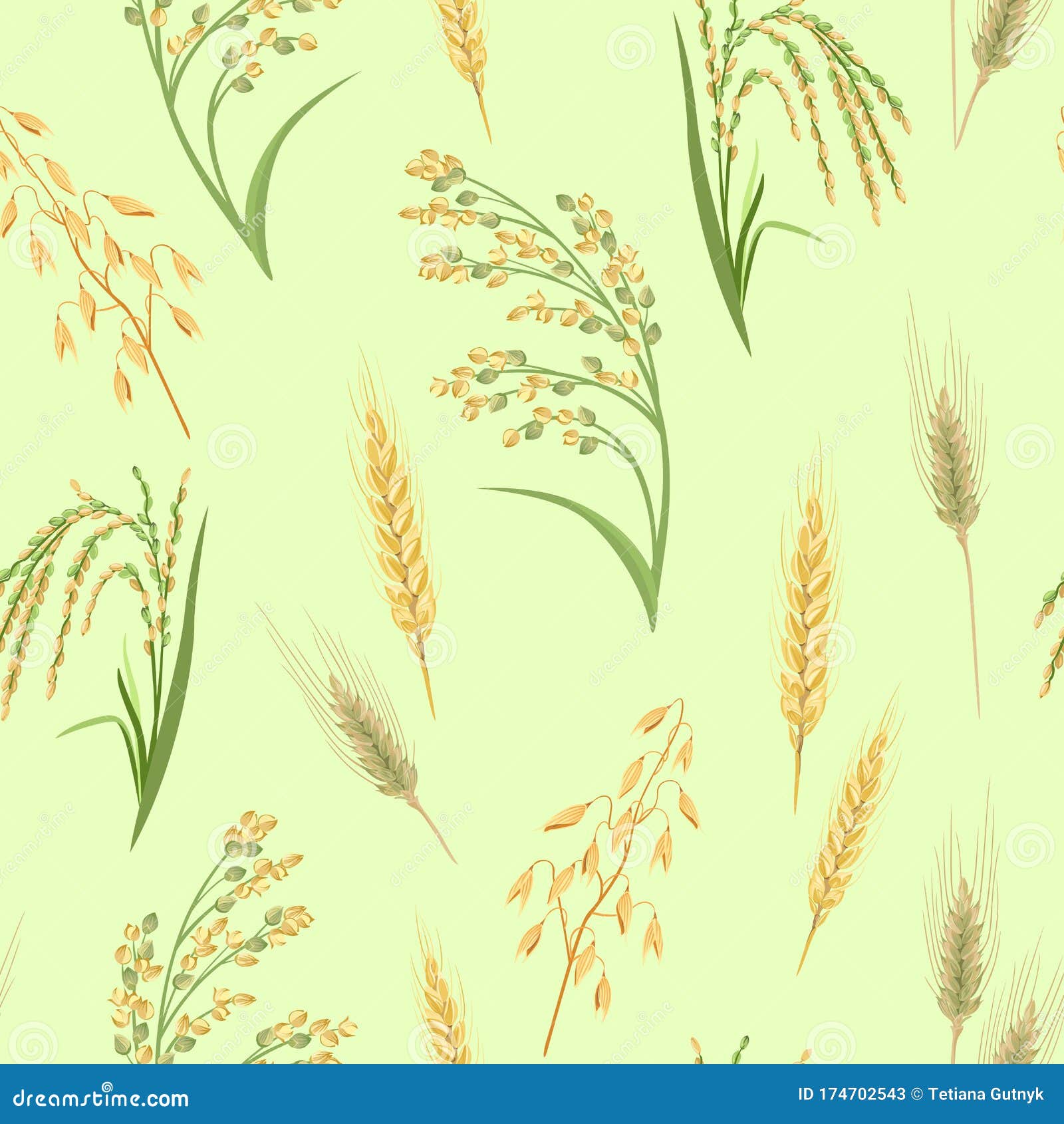 Green Millet Isolated On White Background, Design Element. Cartoon ...