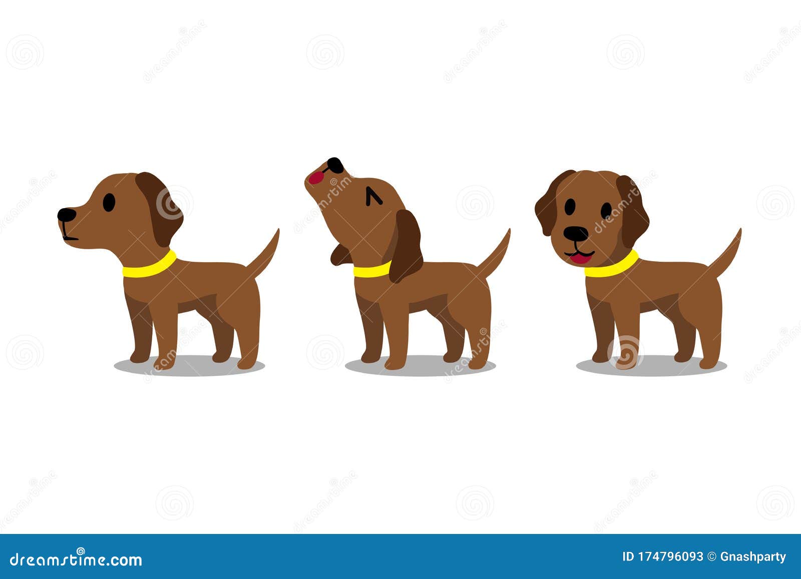Set of Vector Cartoon Character Labrador Dog Poses Stock Vector ...