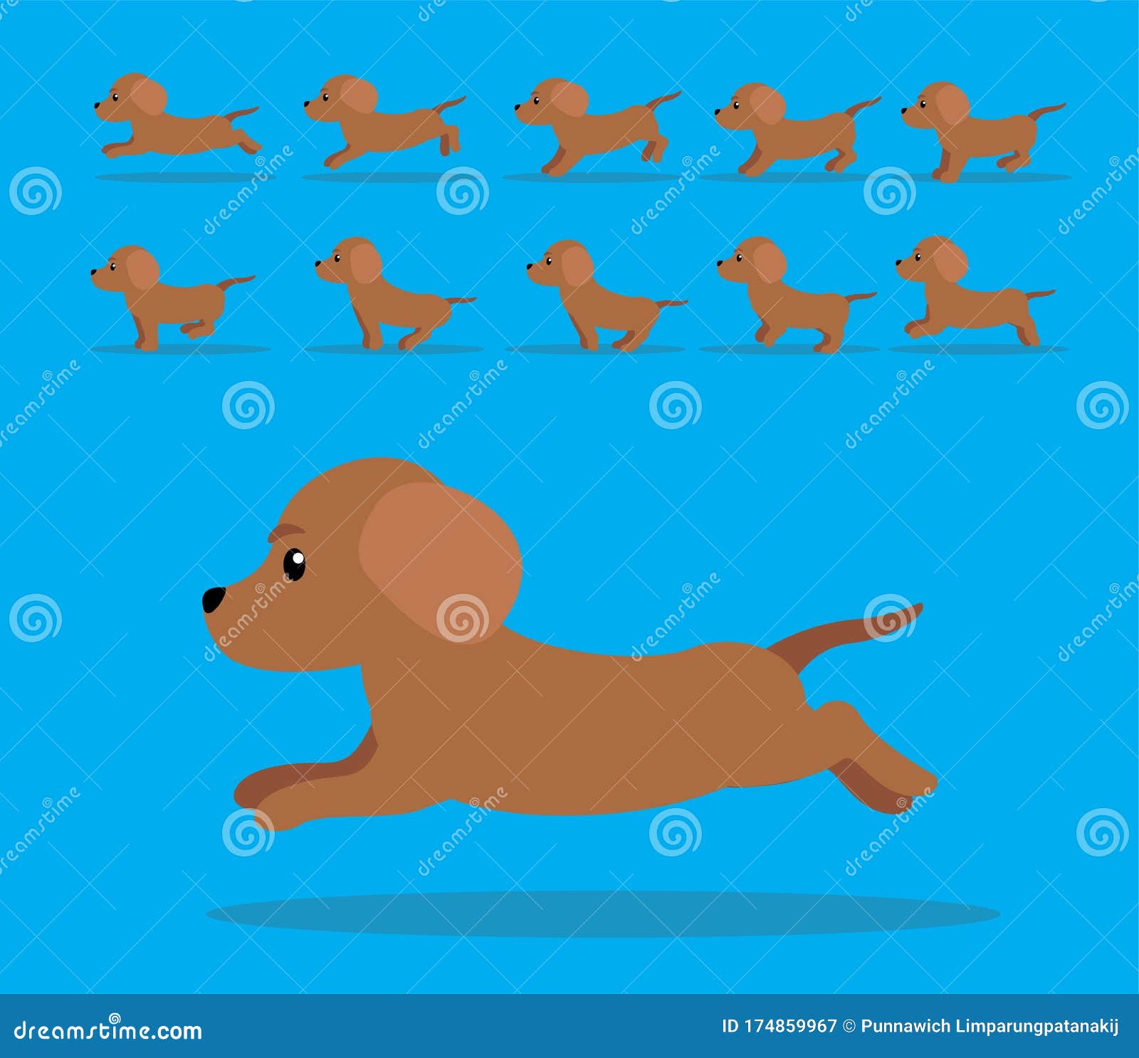Animal Animation Sequence Dog Dachshund Cartoon Vector Stock Vector ...