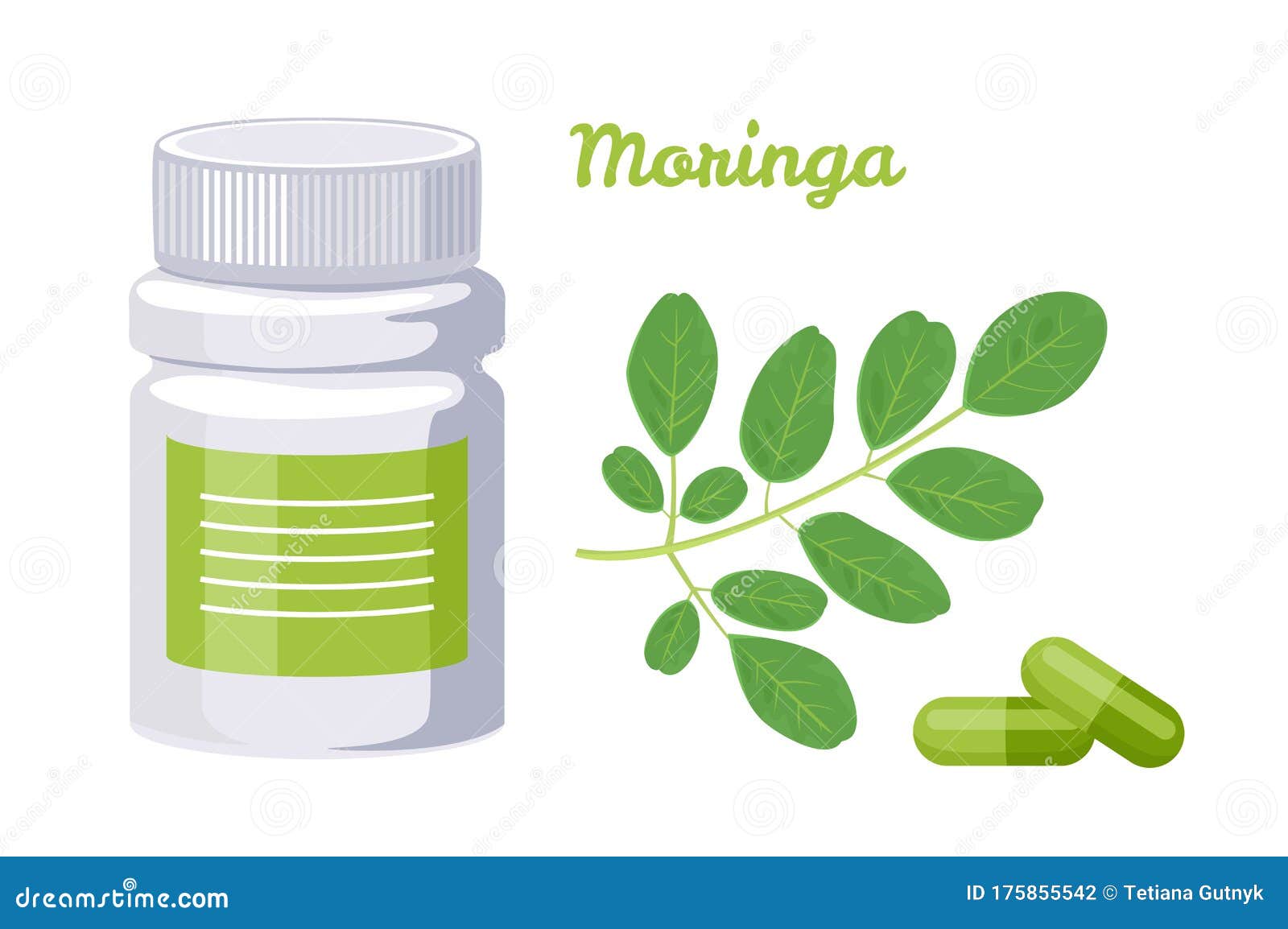 Moringa Green Leaves Seamless Pattern. Vector Illustration Of Moringa ...