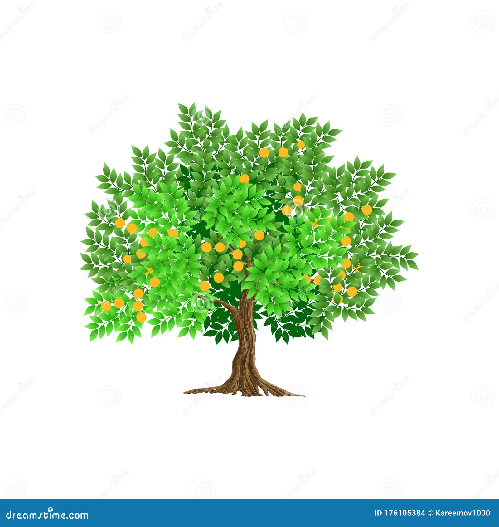 Orange Tree Vector Illustration, Orange Plantation. Isolated on White ...