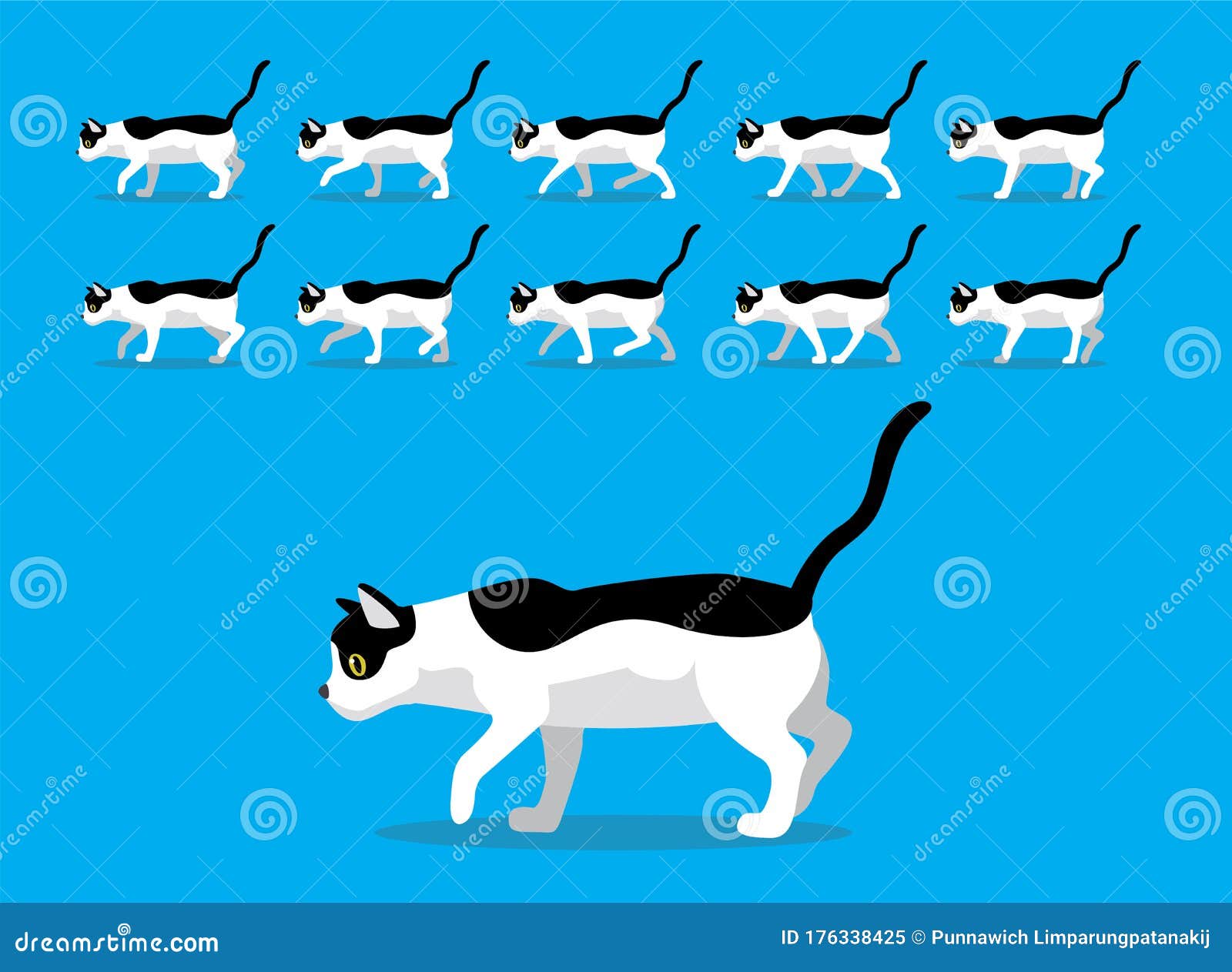 Animal Animation Sequence Cat Aegean Cartoon Vector Stock Vector ...