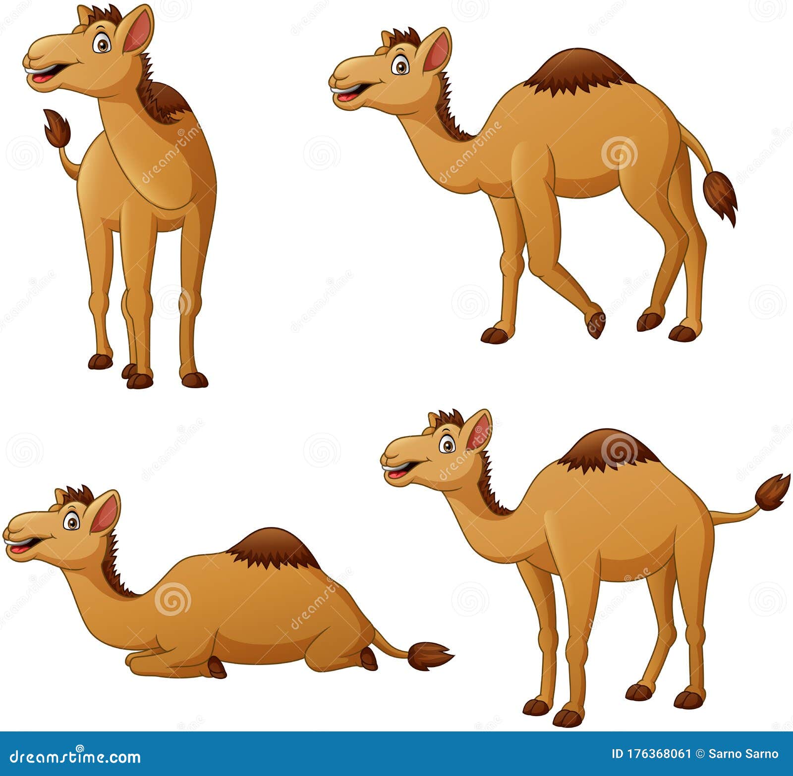 Camel In Cartoon Style, Side View. Saddled Domestic Pack Animal Vector ...