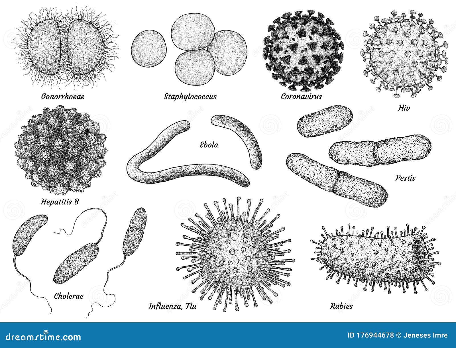 Infectious Bacteria and Virus Collection Illustration, Drawing ...