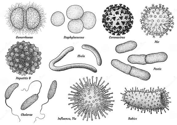 Infectious Bacteria and Virus Collection Illustration, Drawing ...