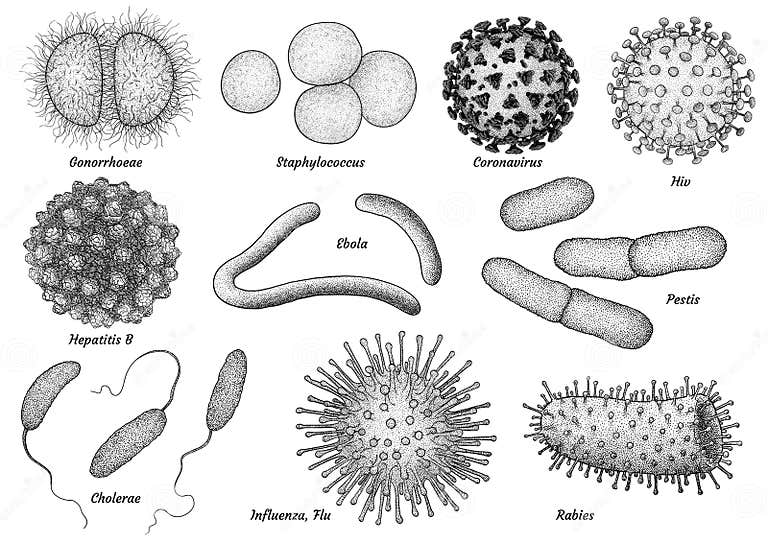 Infectious Bacteria and Virus Collection Illustration, Drawing ...