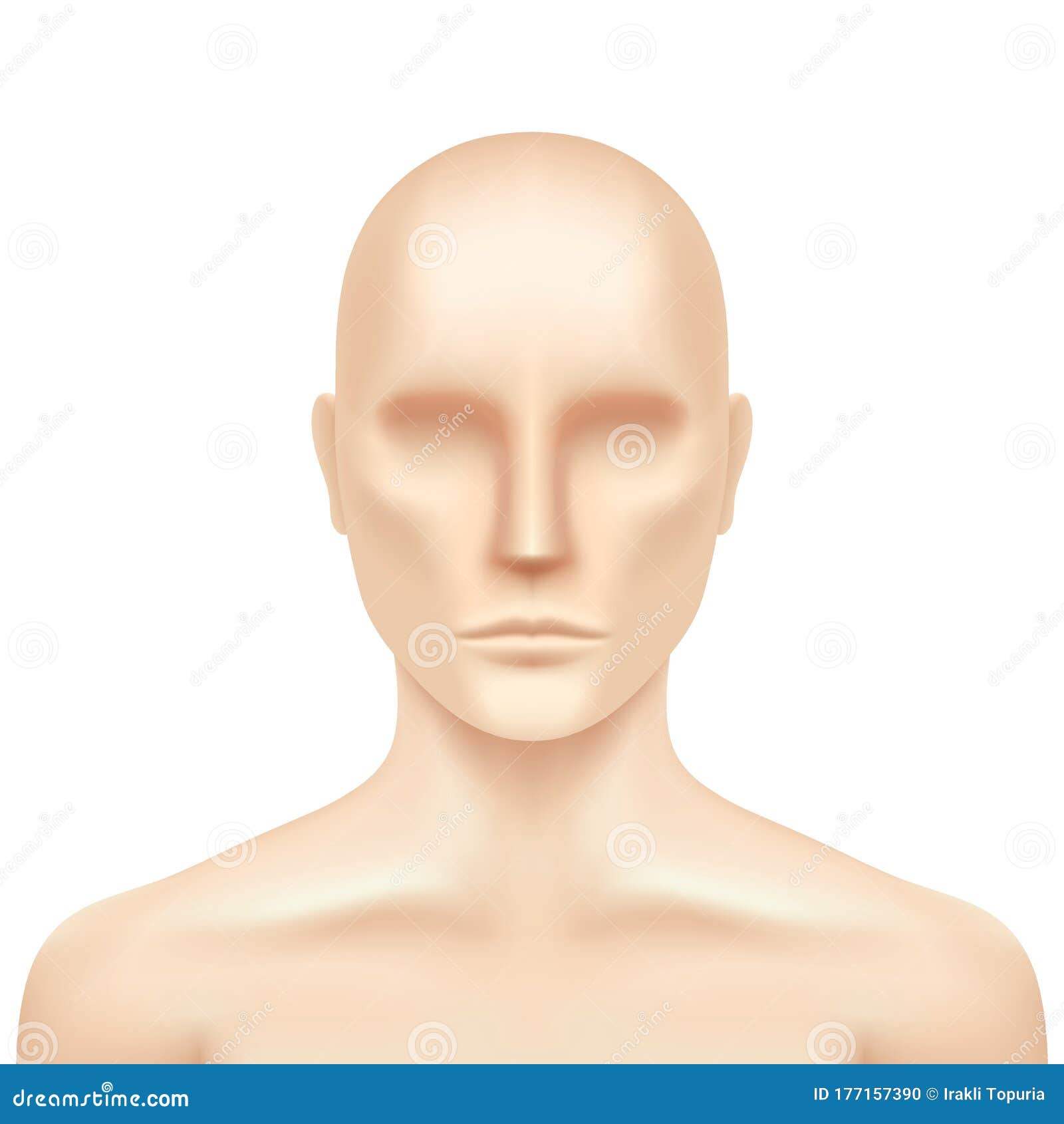 Vector Human Model Isolated O a White Background. Stock Vector ...