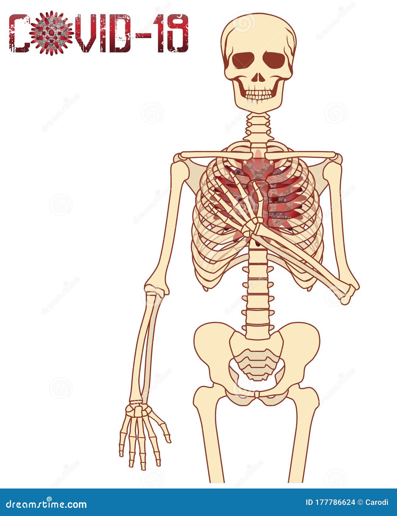 Coronavirus, Human Skeleton with Virus Covid-19, Isolated Stock Vector ...