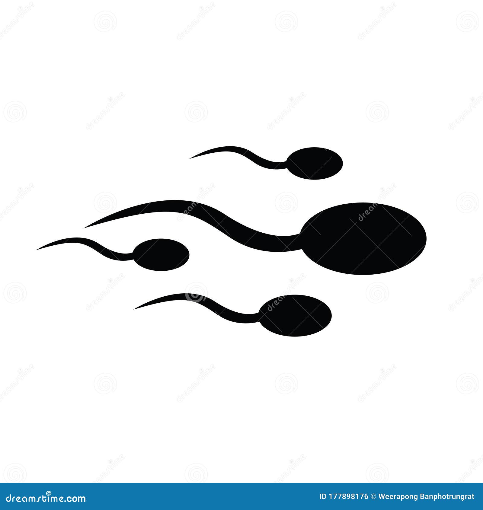 Sperm of human icon stock vector. Illustration of spermatozoa - 177898176