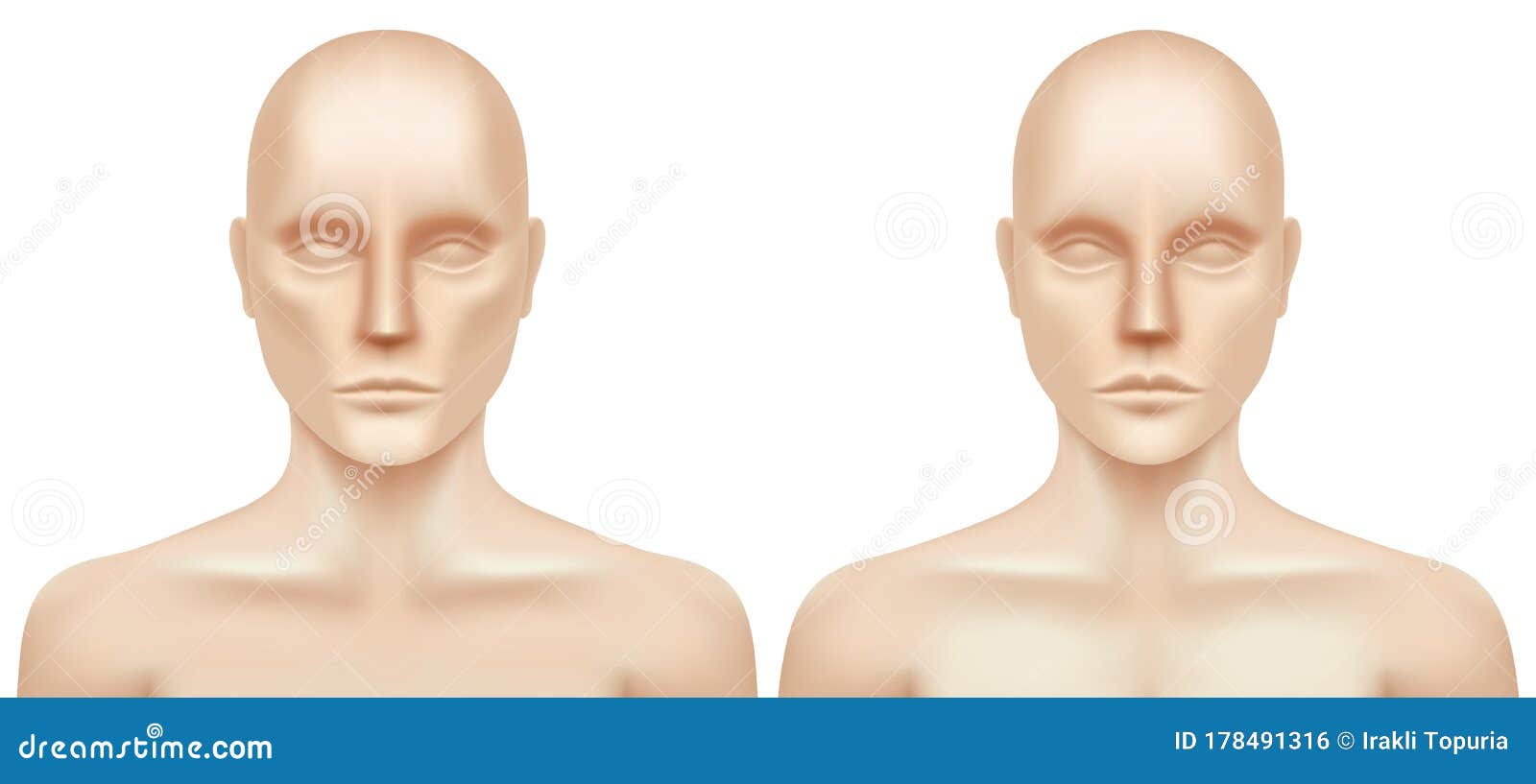 Man and Woman, Upper Body Vector Illustration. Stock Vector ...