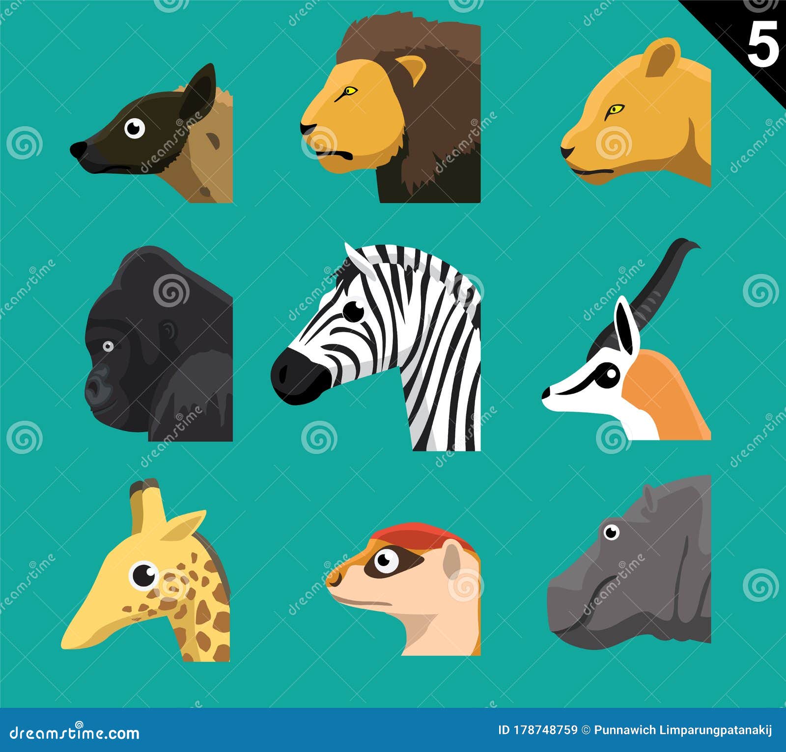 Animal Cartoon Faces Side View Set 5 Safari Stock Vector - Illustration ...