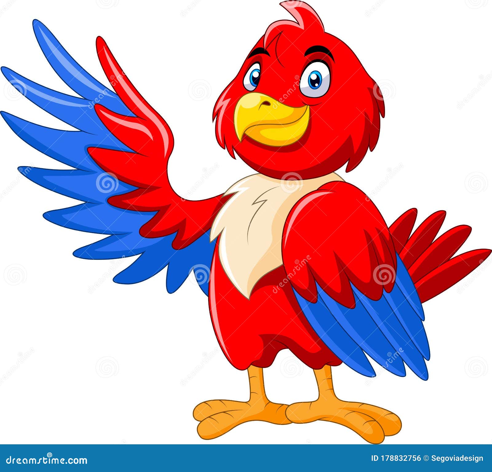 Cartoon Red Macaw In Different Poses. Vector Illustration ...