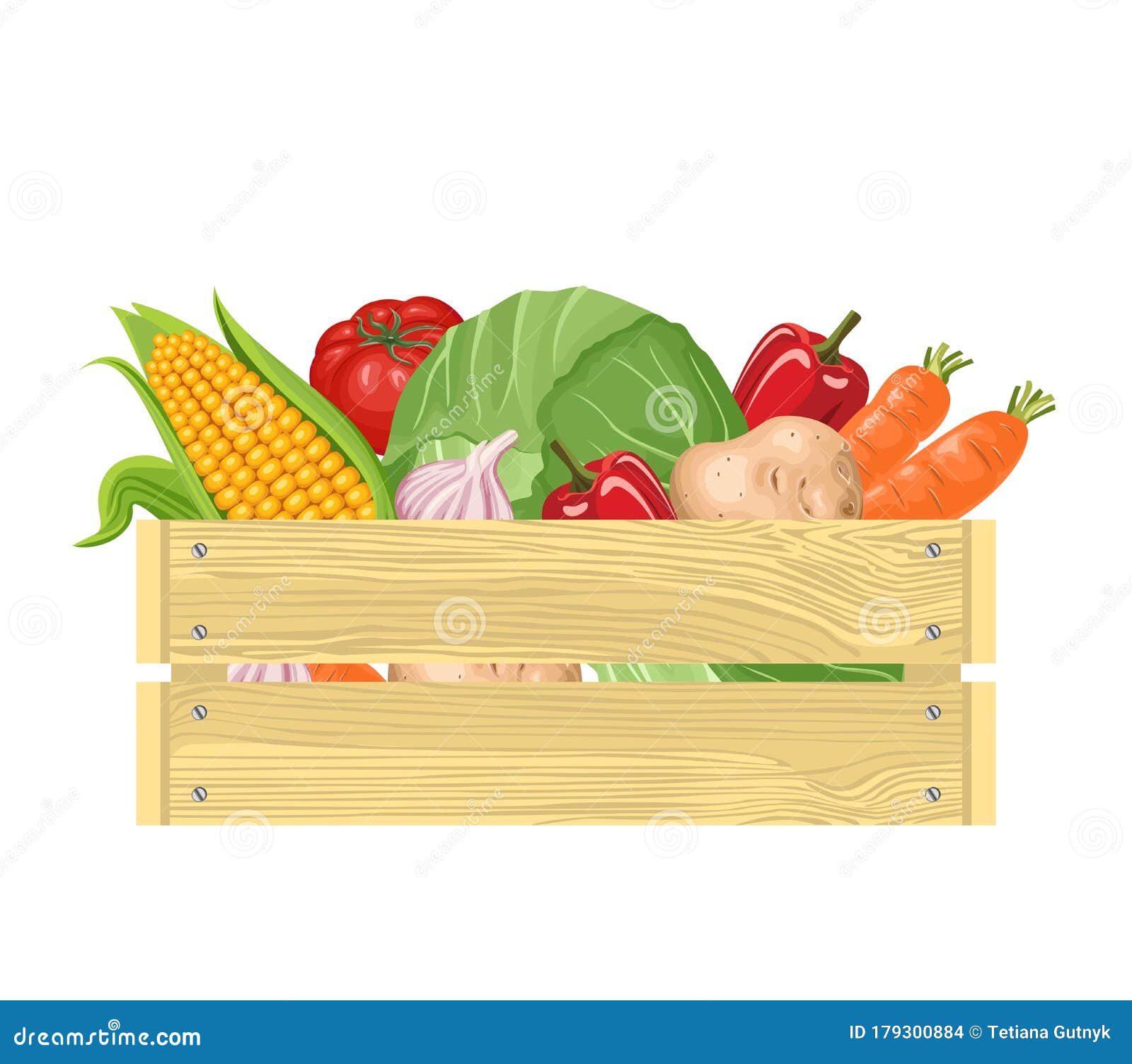 Vegetables in Wooden Box. Fresh Farm Products Stock Vector ...