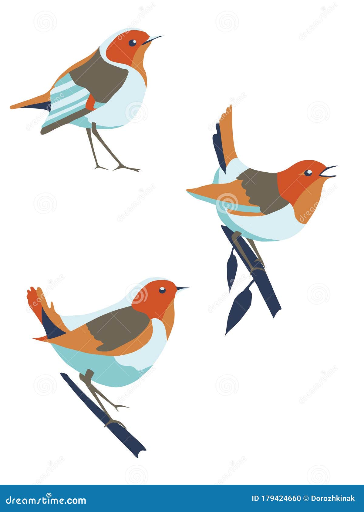 Vector set of robin birds stock vector. Illustration of color - 179424660