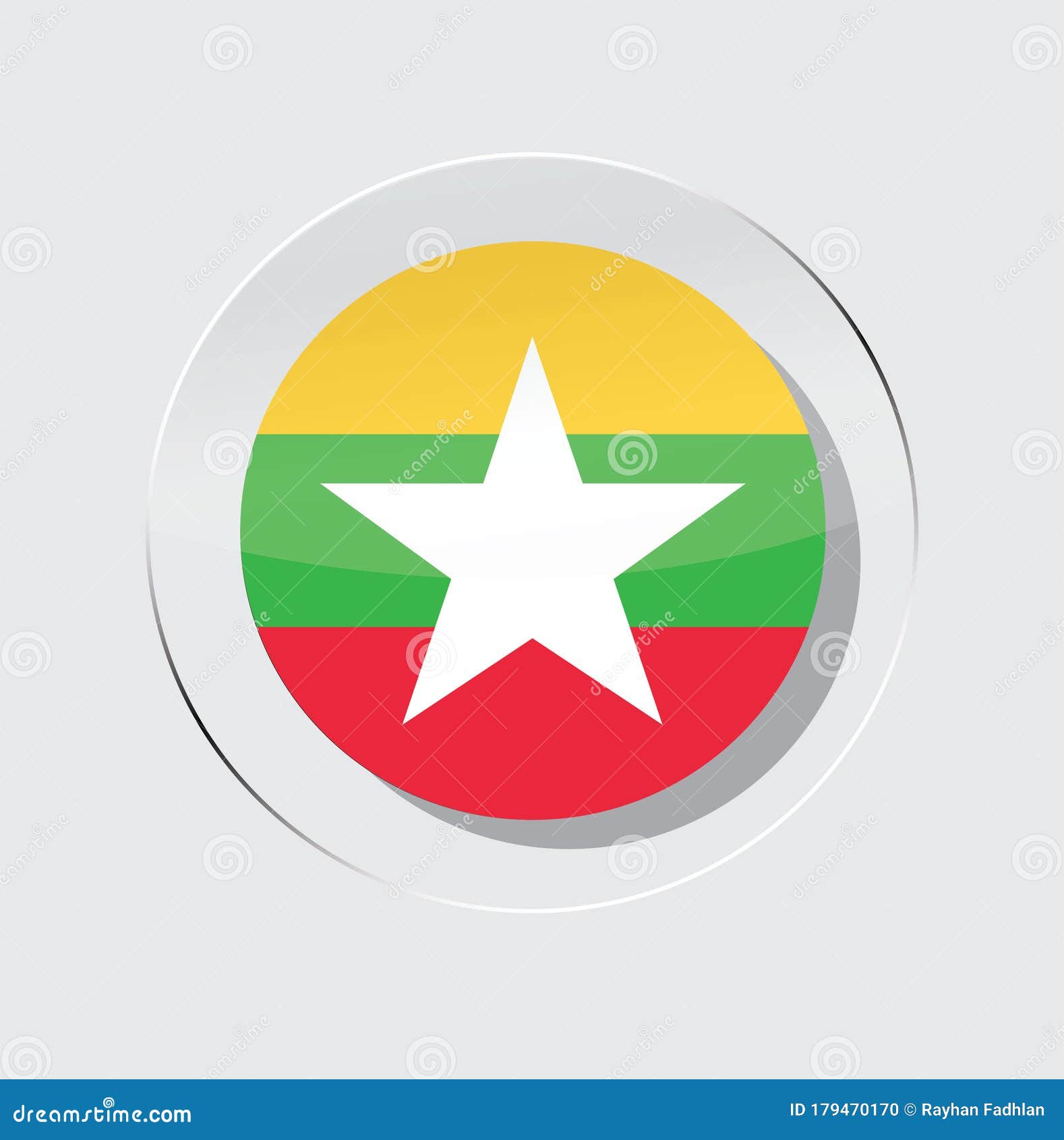 Burmese Star Tortoise Vector Illustration | CartoonDealer.com #48296808