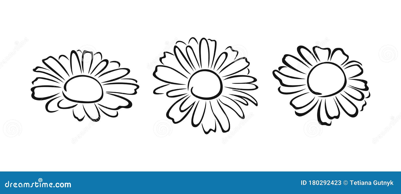Daisy Template Outline