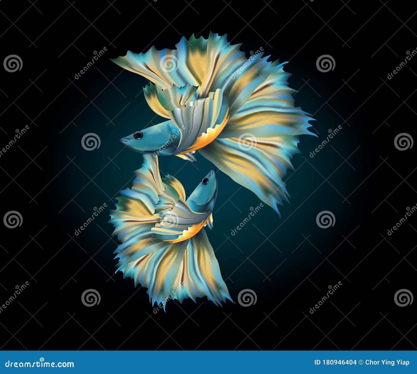 Beautiful Blue Metallic Siamese Fighting Fish Stock Vector ...