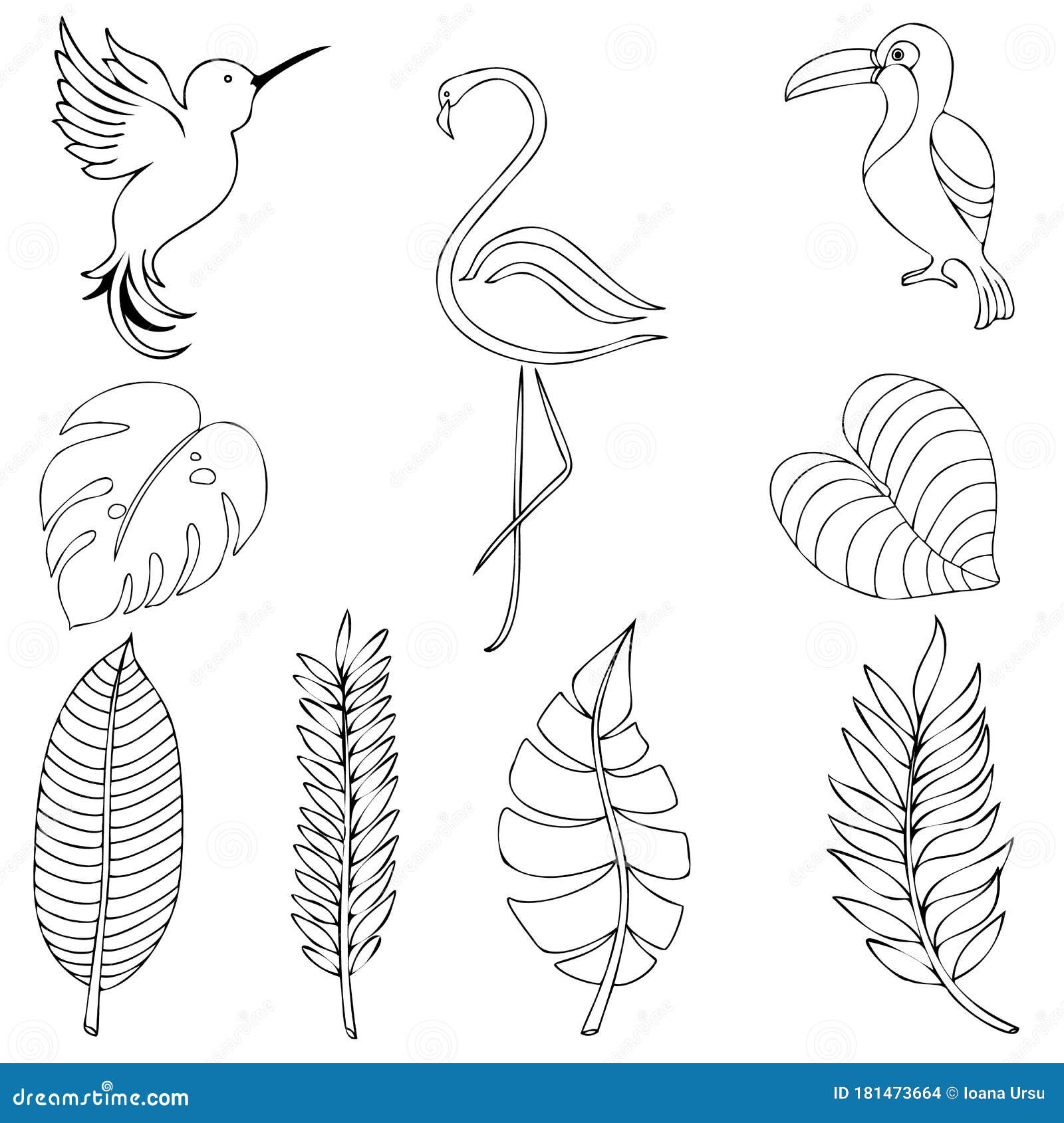 Tropical Set with Leaves and Birds, Simple Outline Exotic Doodle ...