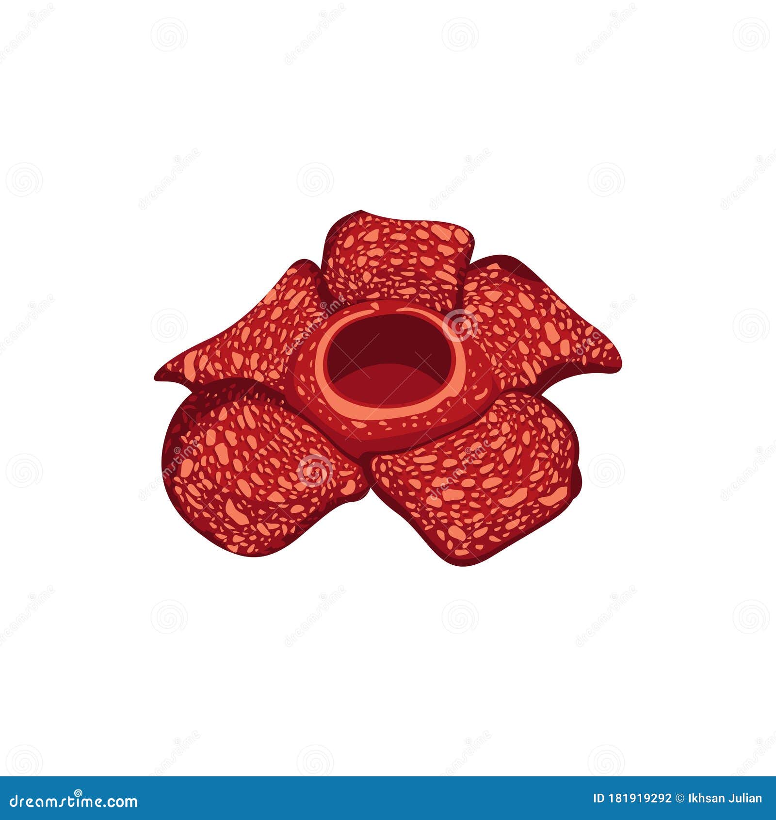 Rafflesia Flower Isolated Element. Cartoon Color Flower. Hand Dr ...